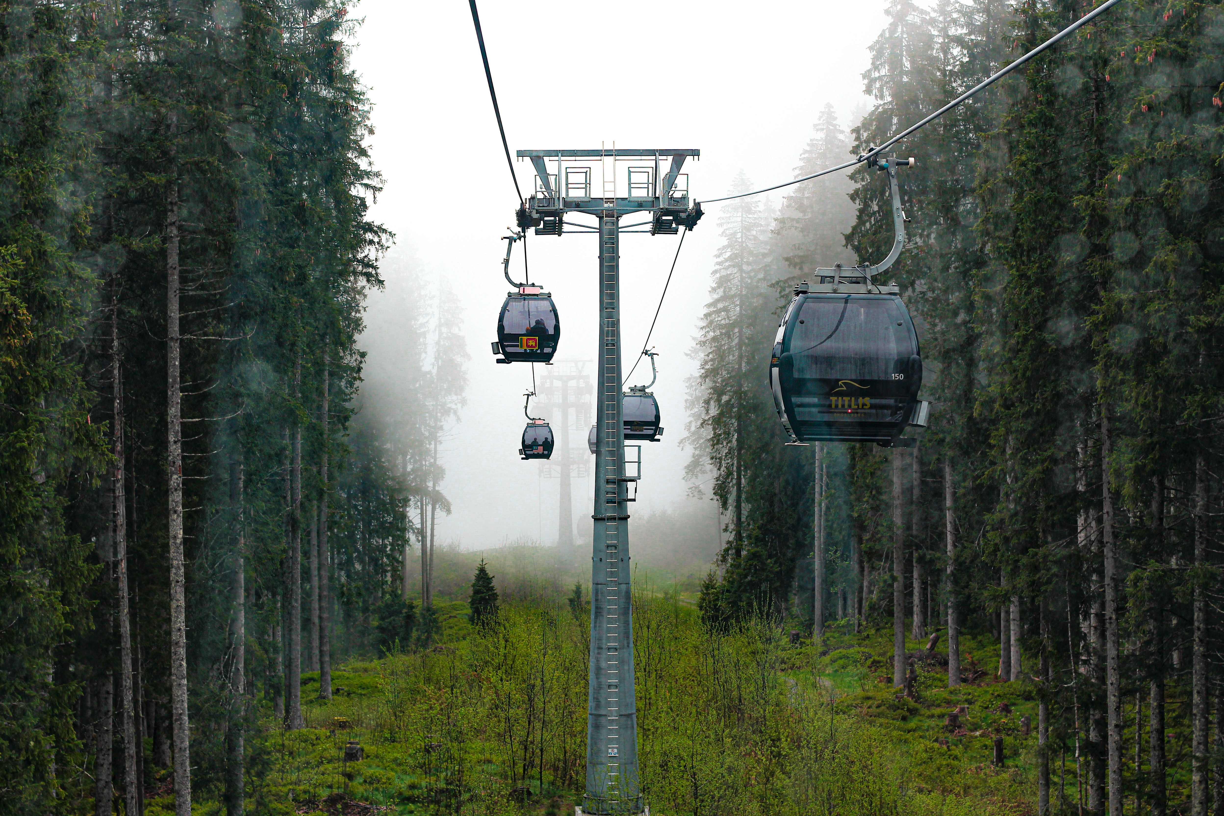 Cable Car in Forest under Fog · Free Stock Photo