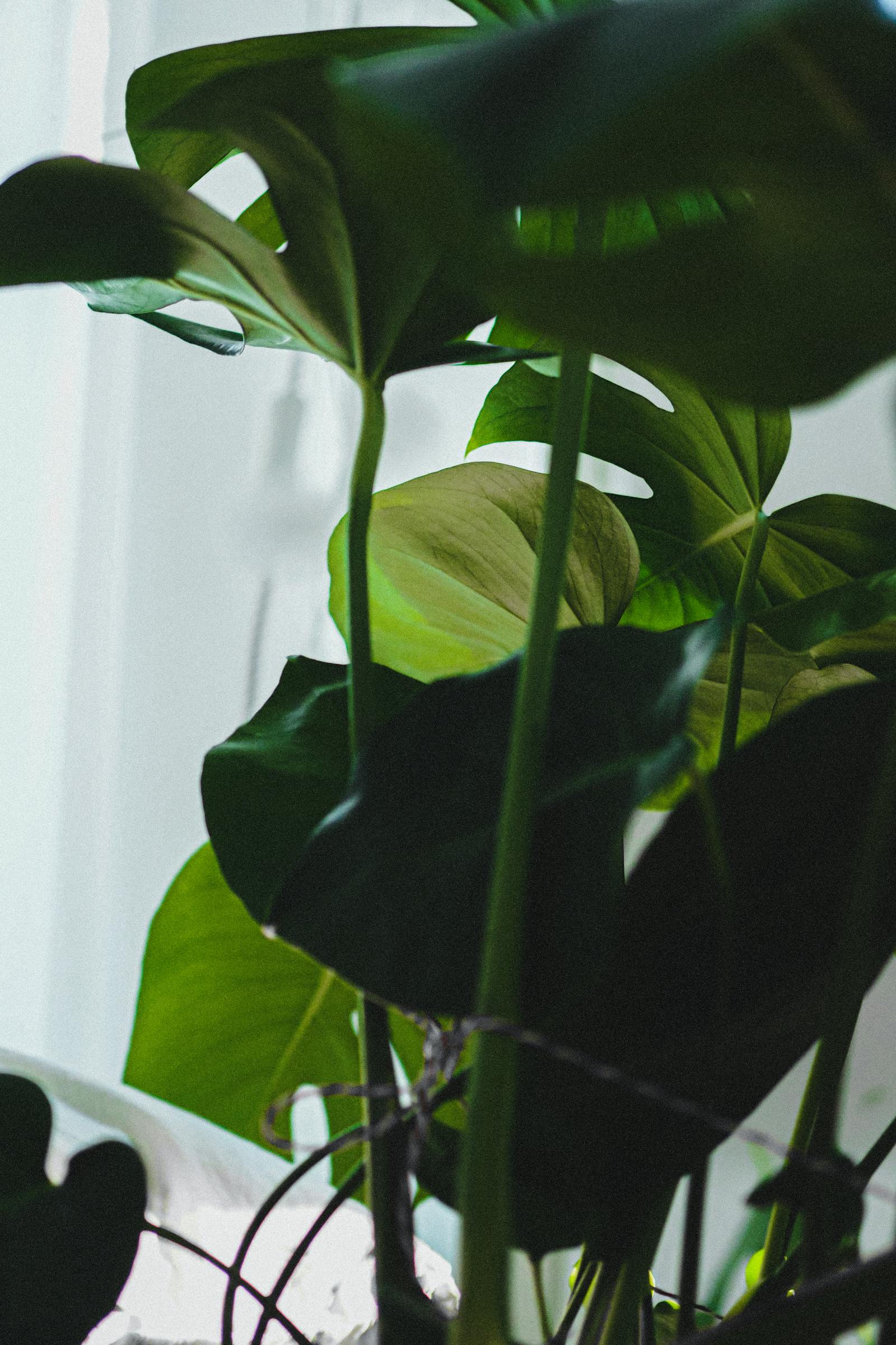 Green Writer Photos, Download The BEST Free Green Writer Stock Photos ...