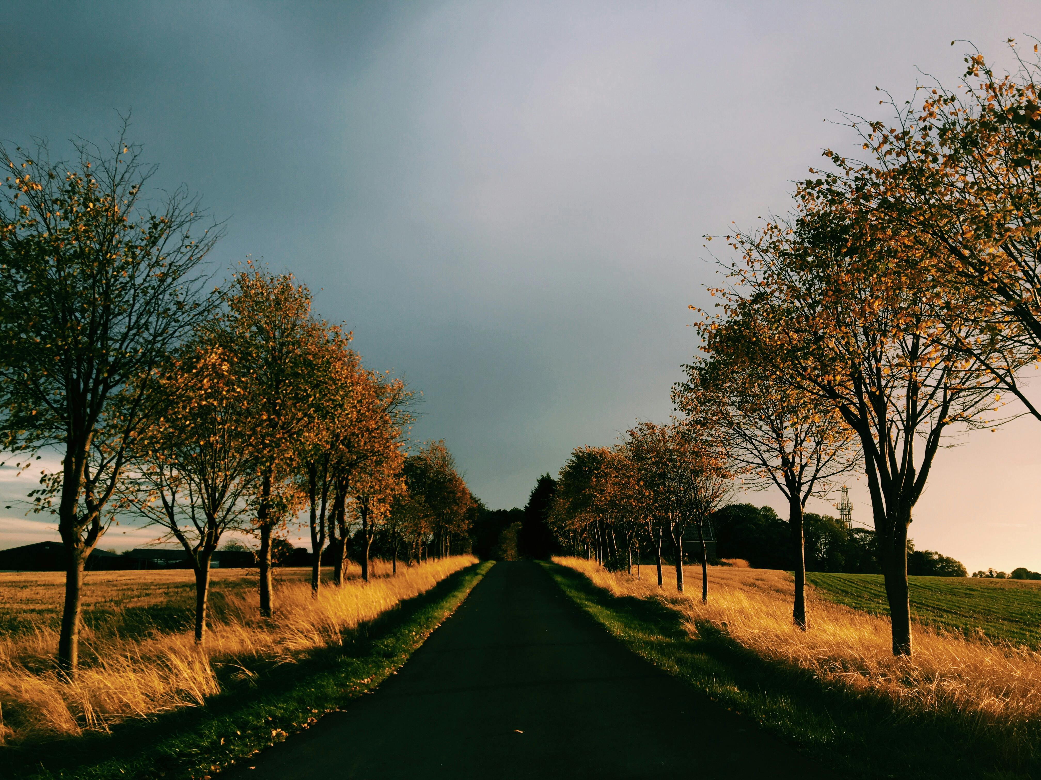 Rachel Vine - Photography