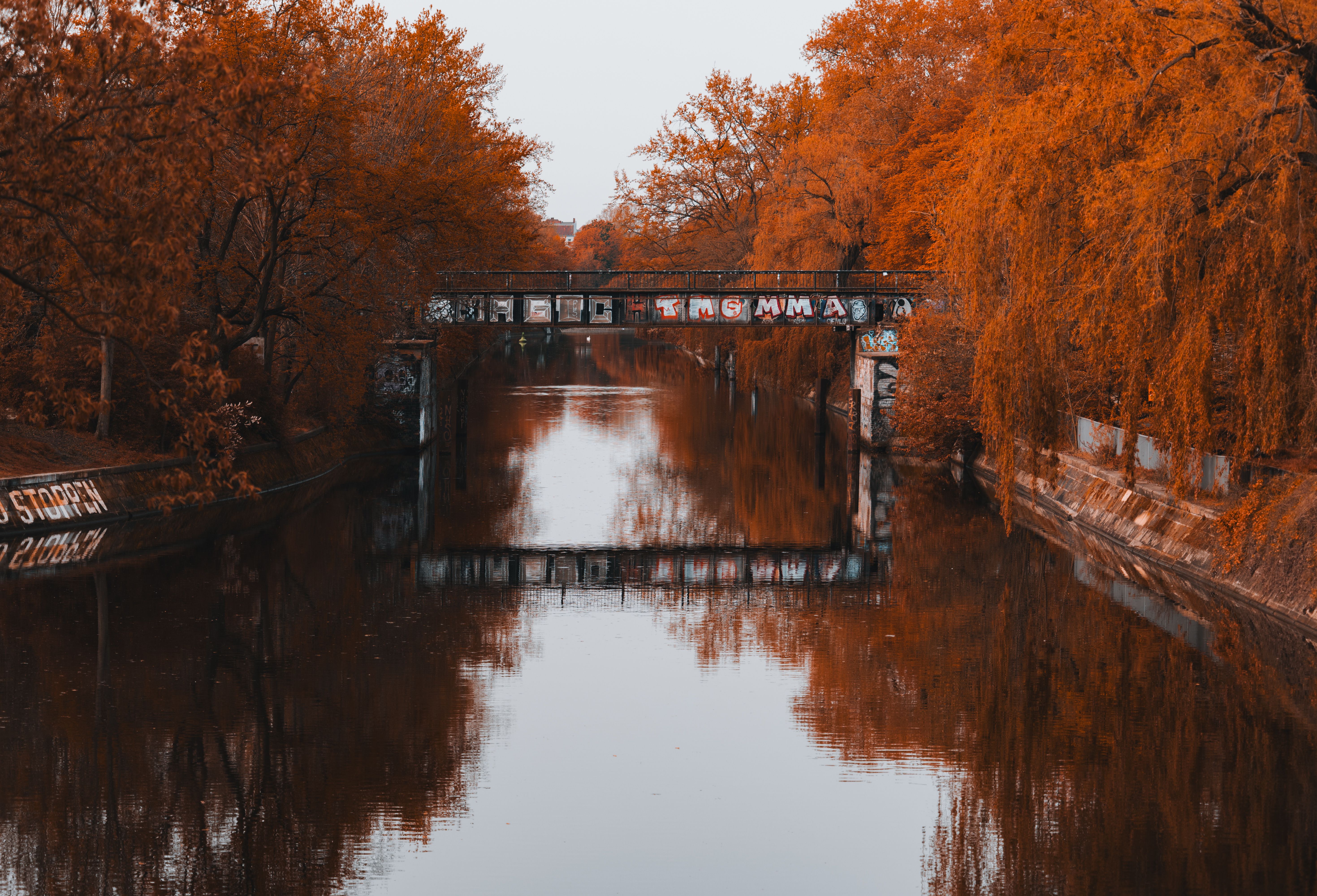 Autumnal Trees and a Bridge Reflecting in the River · Free Stock Photo
