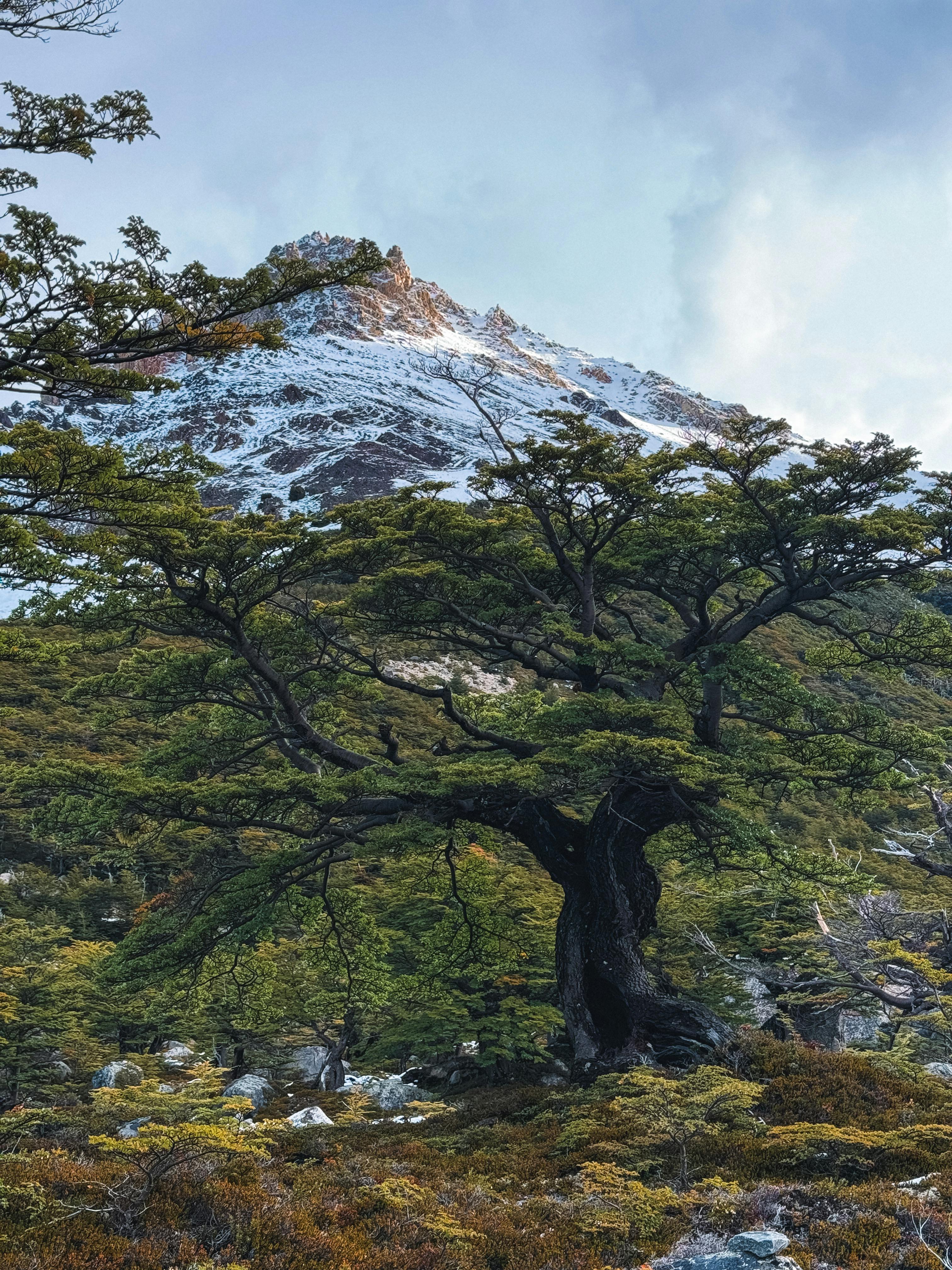 Peak Potret Photos, Download The BEST Free Peak Potret Stock Photos ...