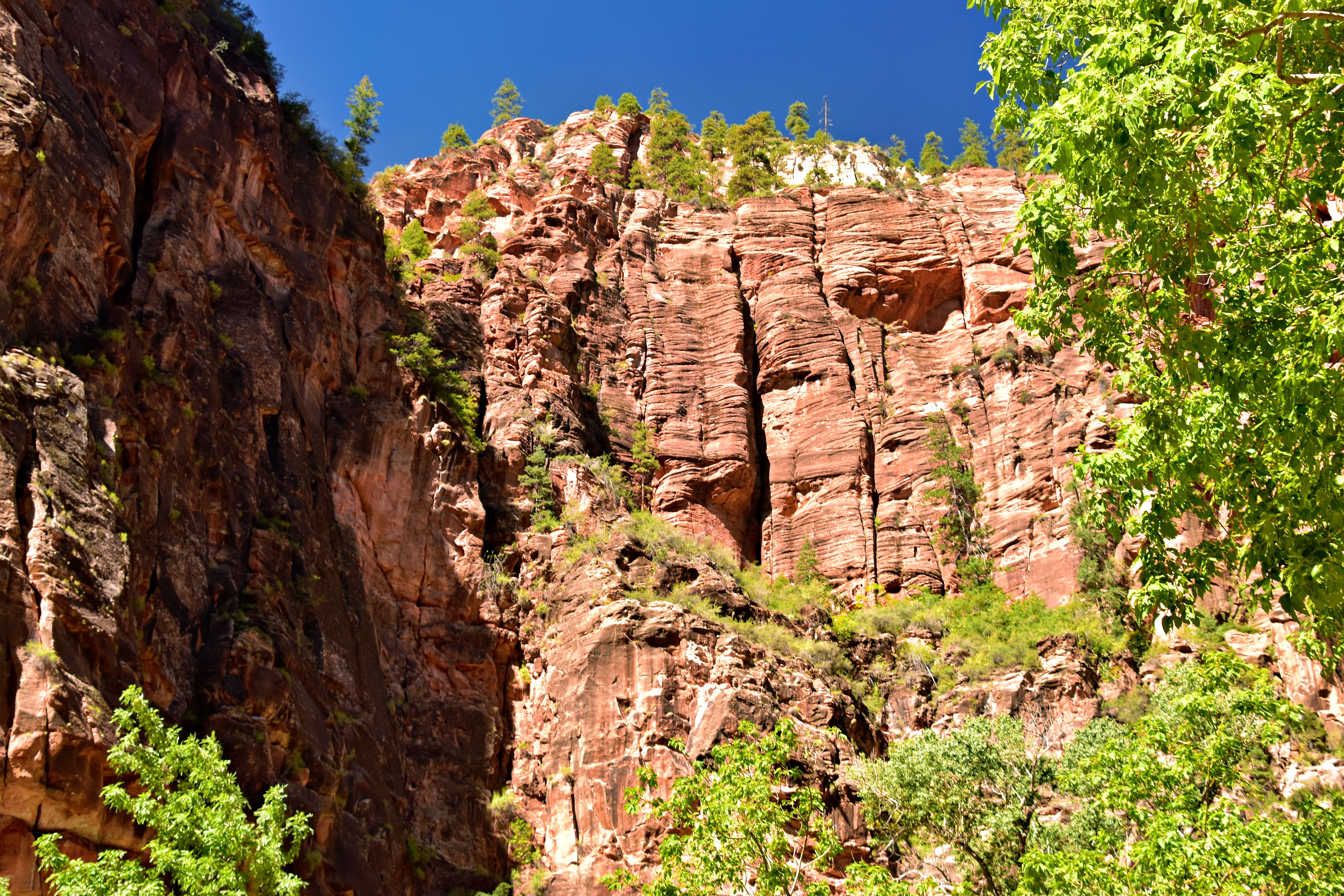 Rocks Wall in Forest · Free Stock Photo