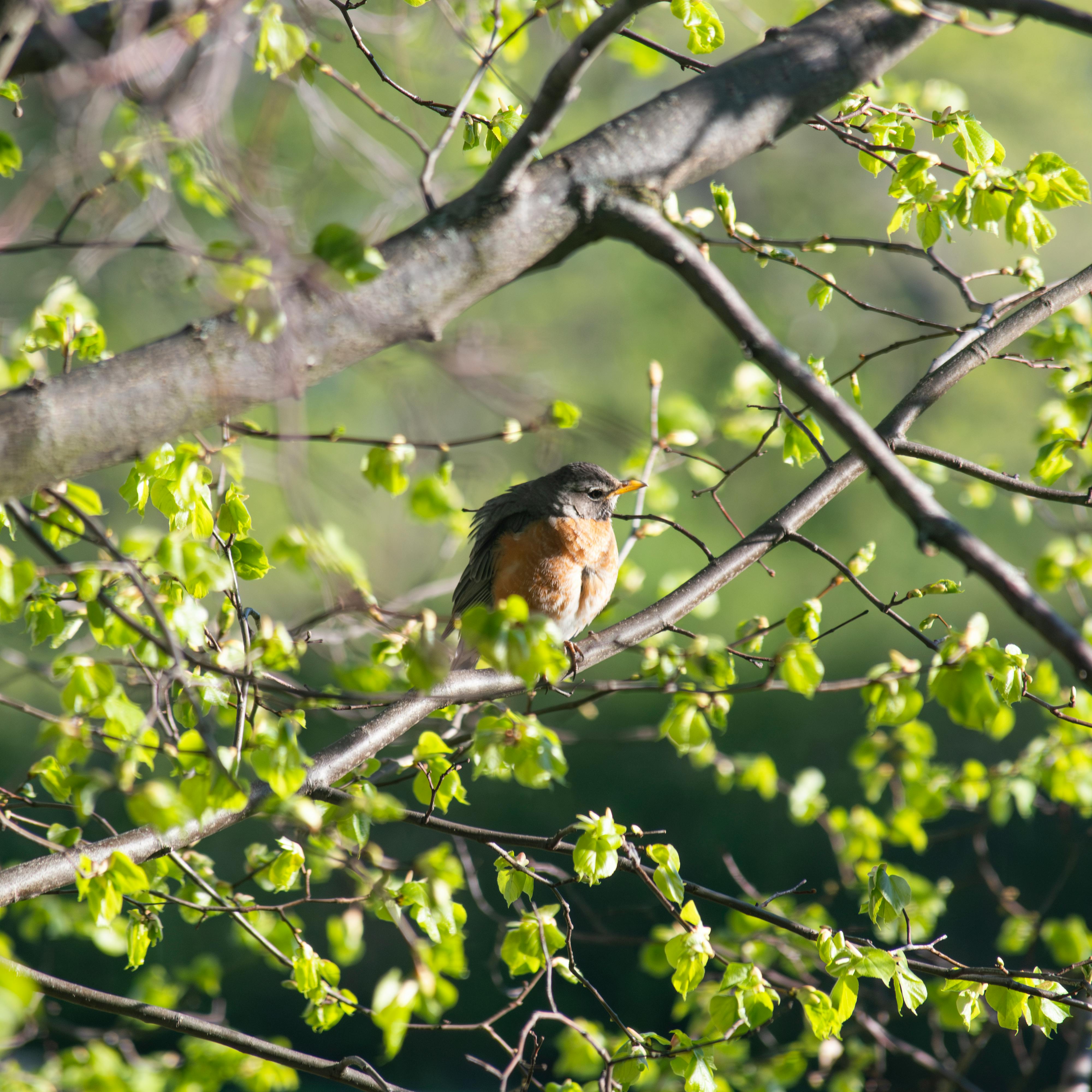 Annie Gavin - Photography