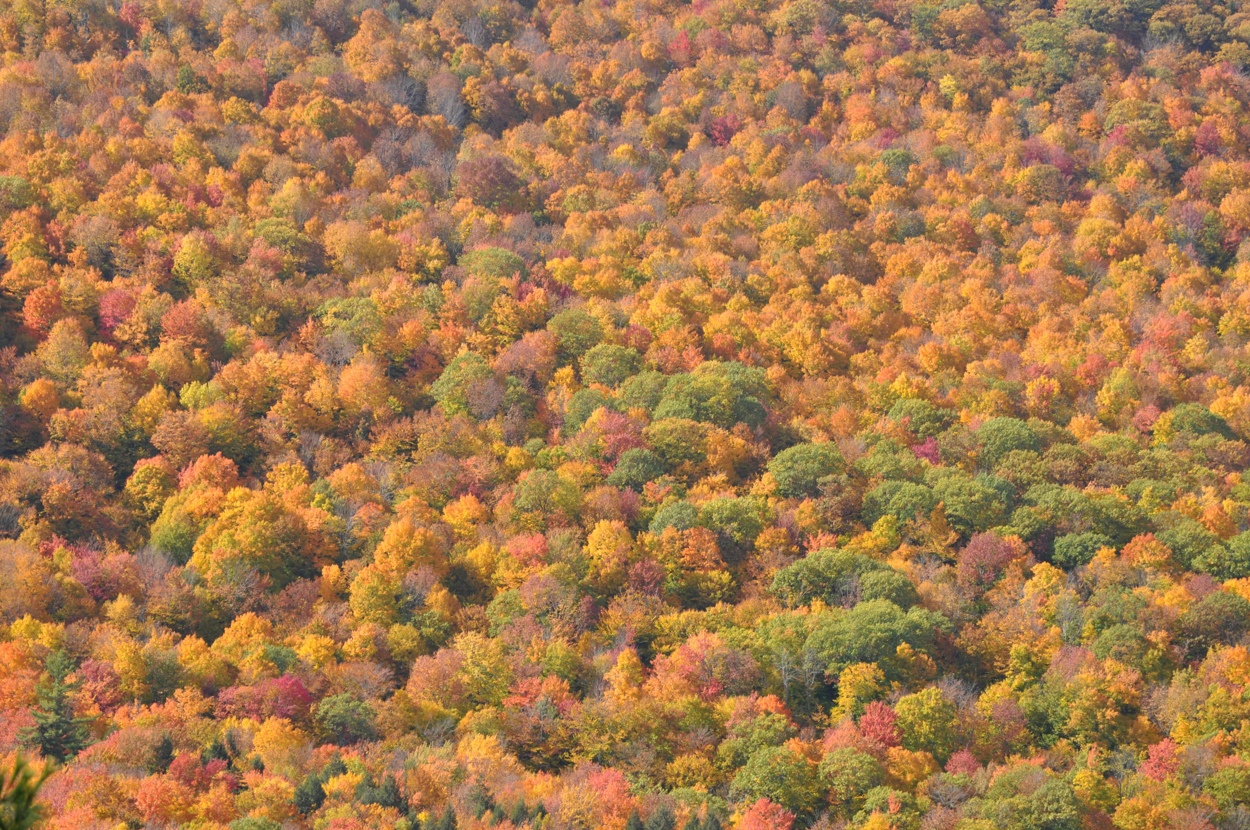 Deep Eingang Photos, Download The BEST Free Deep Eingang Stock Photos ...