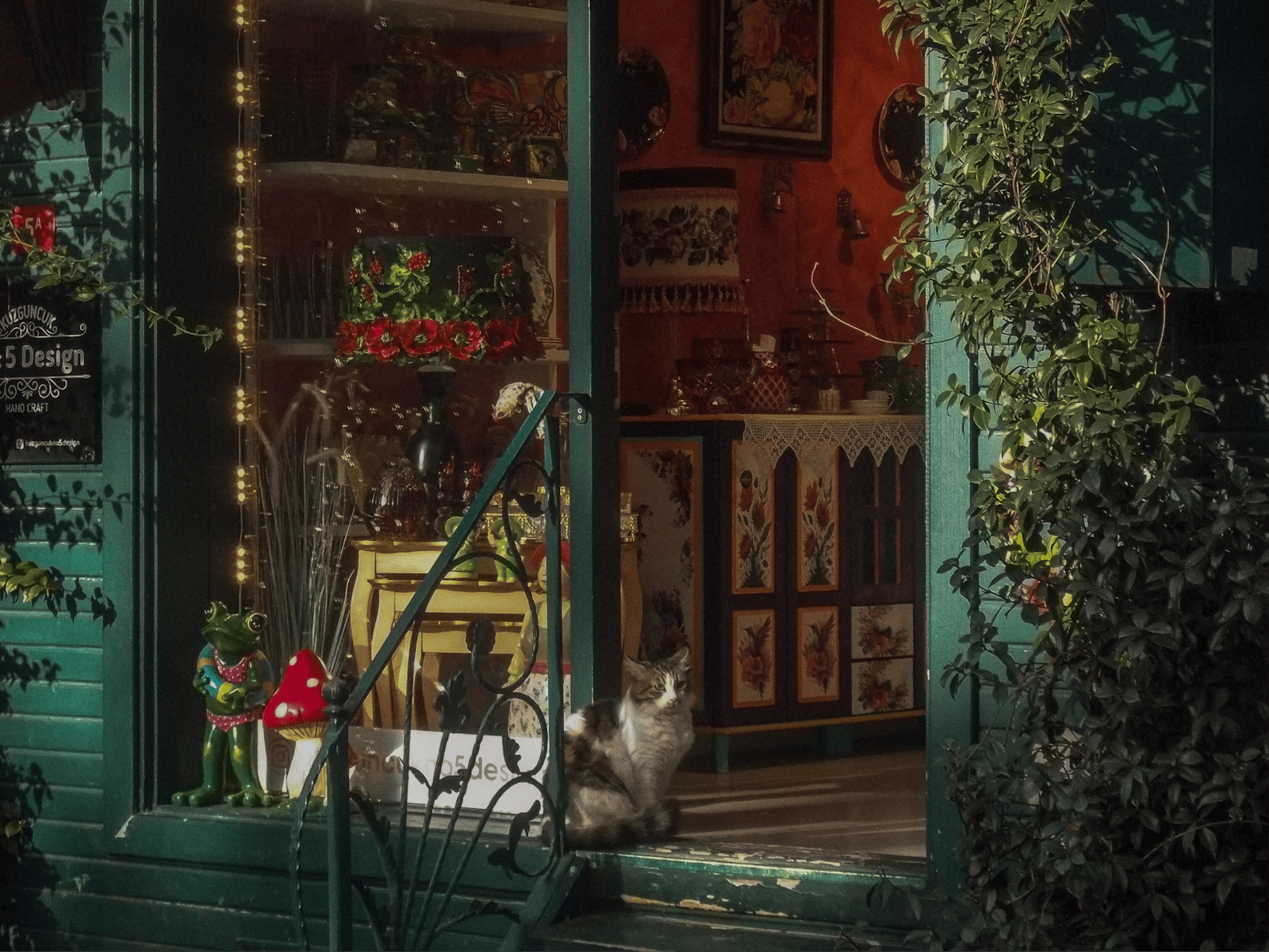 Cat Meme Photos, Download The BEST Free Cat Meme Stock Photos & HD Images