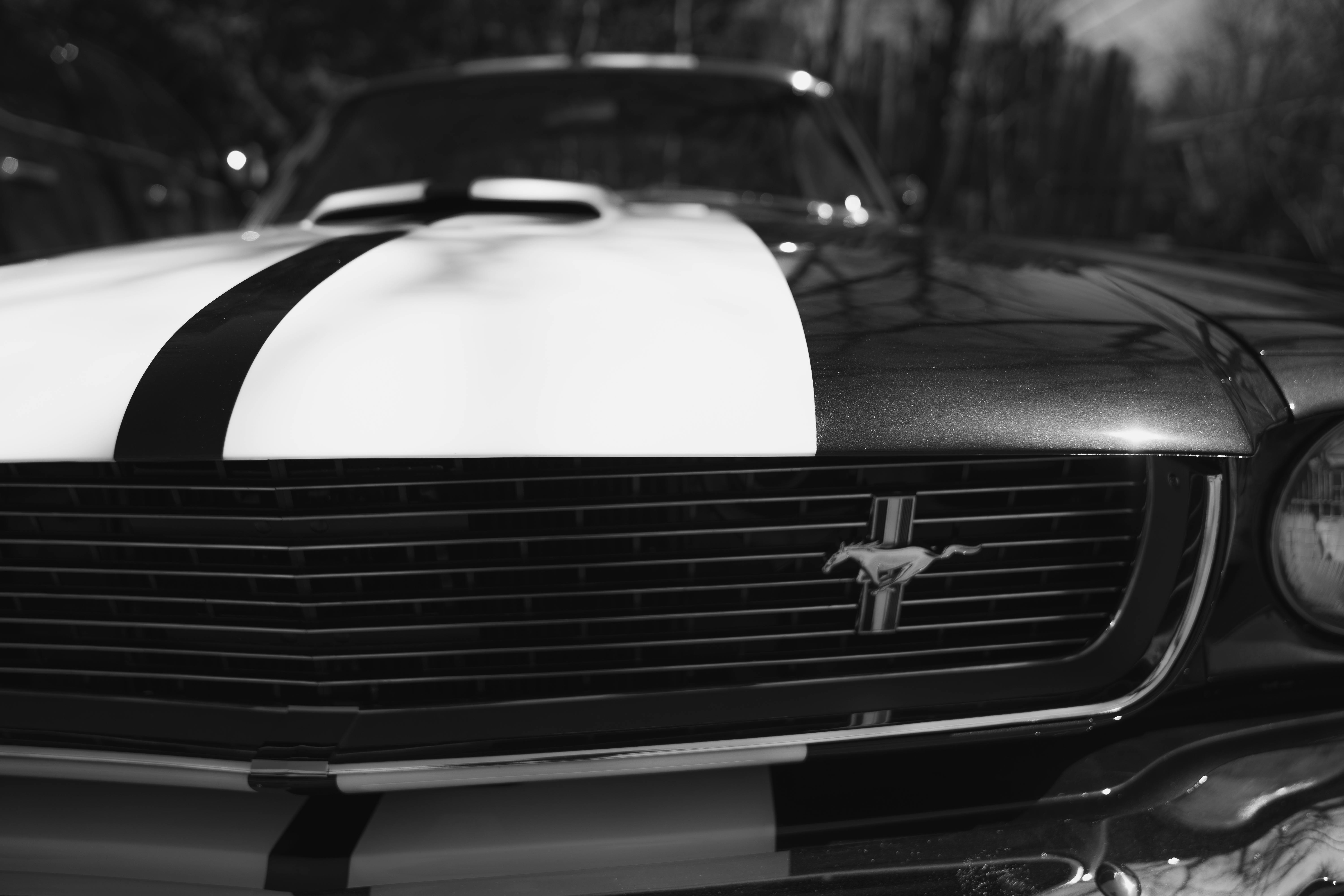 Grill With Bikini On Photos, Download The BEST Free Grill With Bikini ...