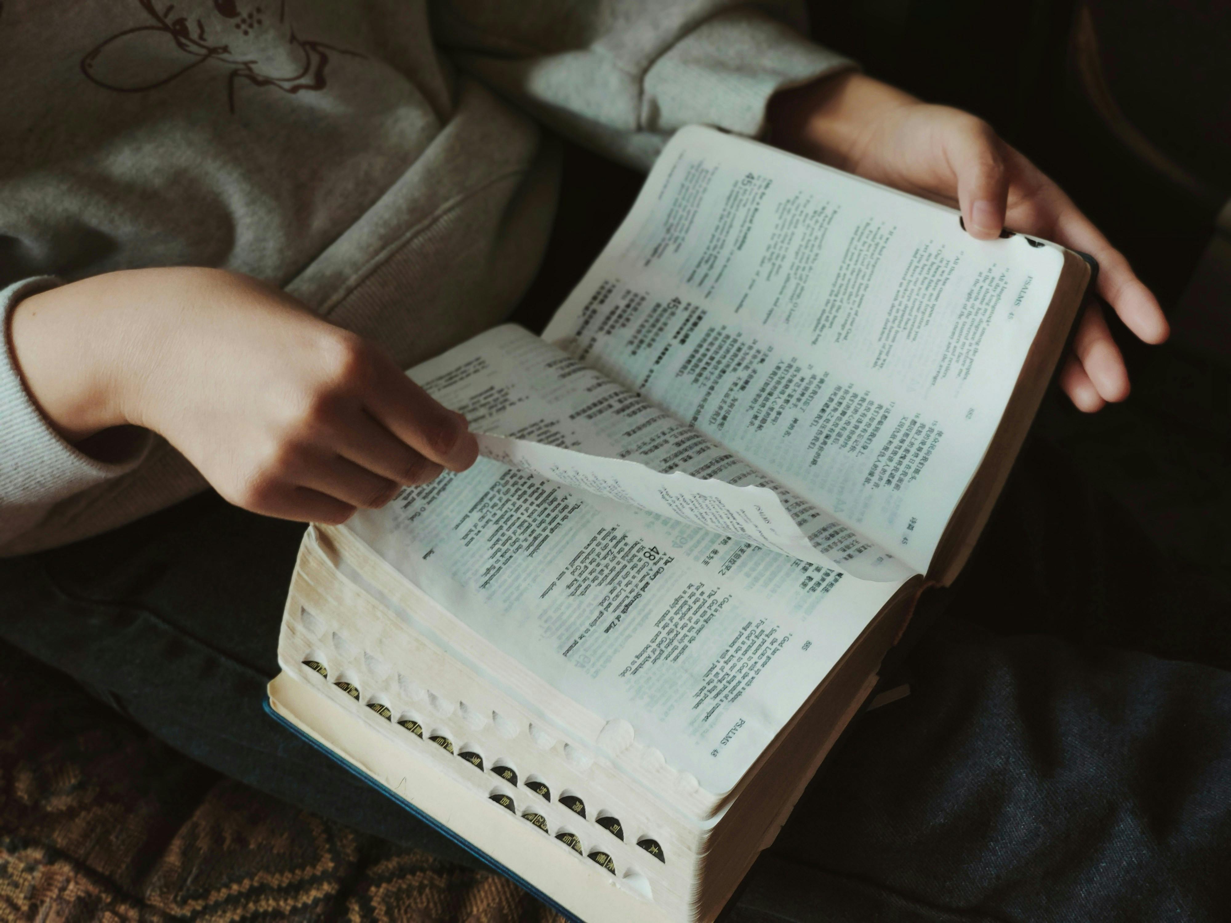 reading bible · Free Stock Photo