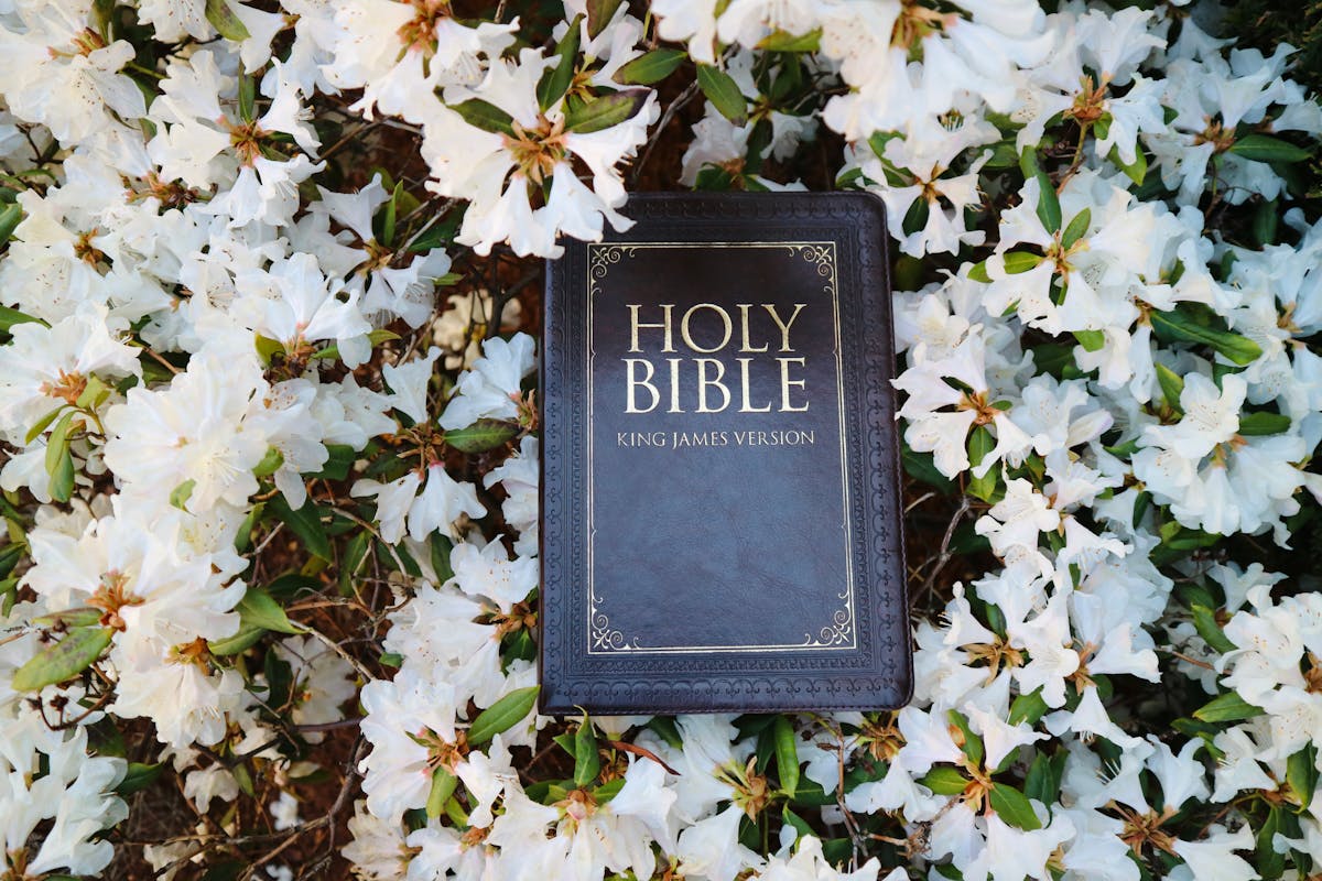 The Bible Photos, Download The BEST Free The Bible Stock Photos & HD Images