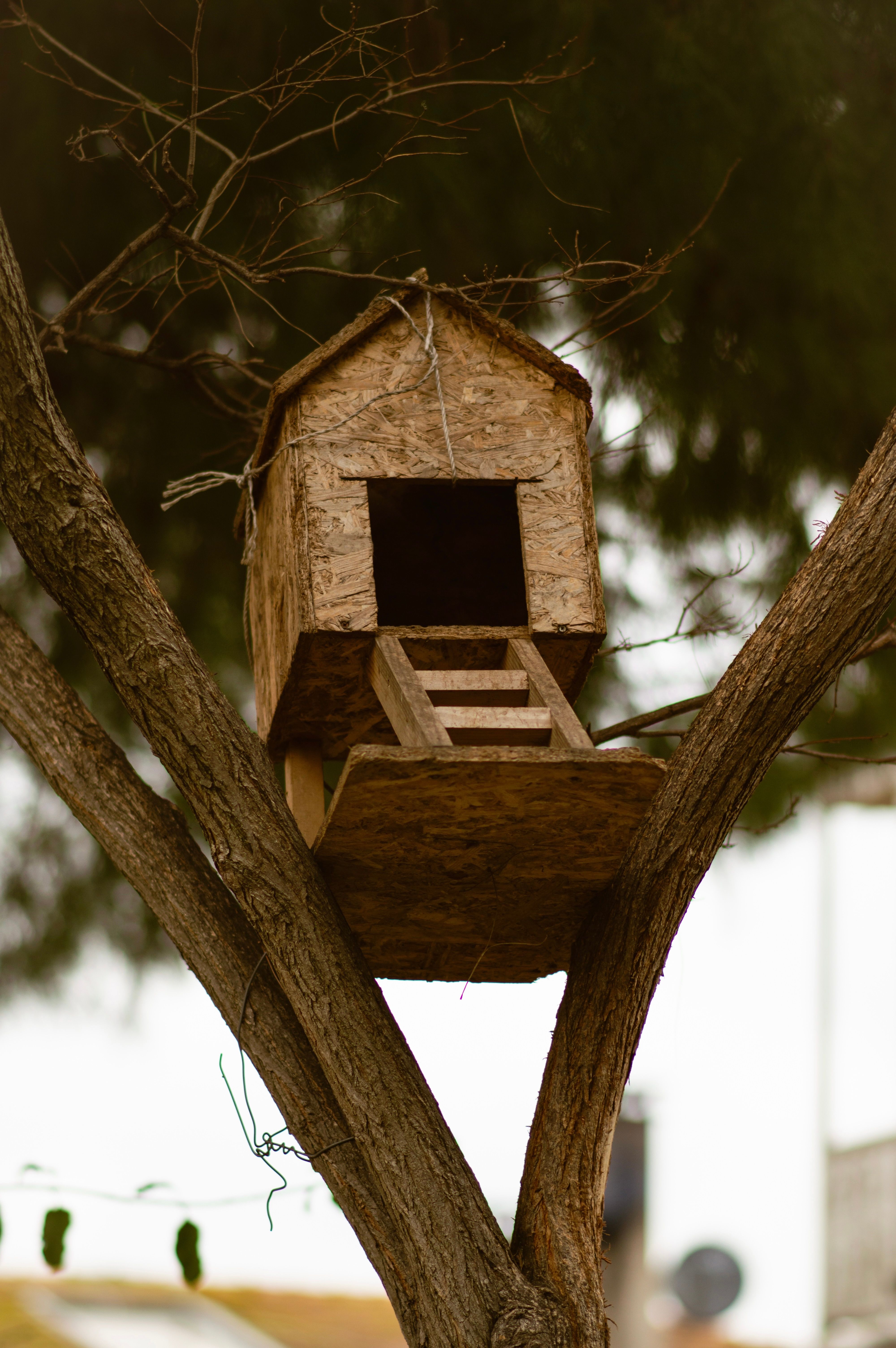 Brown Wooden Bird House Hanging on Tree · Free Stock Photo