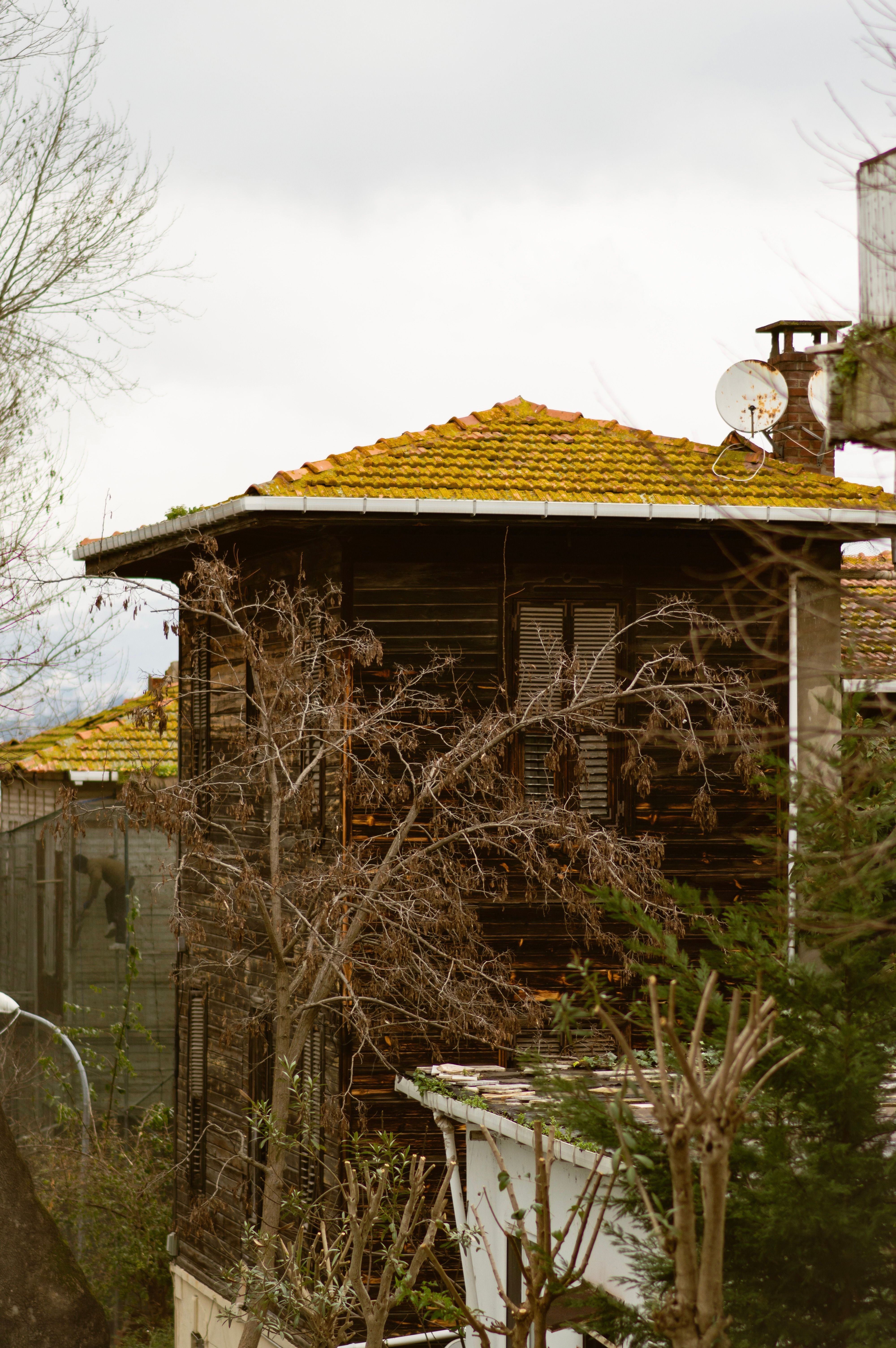 Wooden Building with Yellow Roof · Free Stock Photo