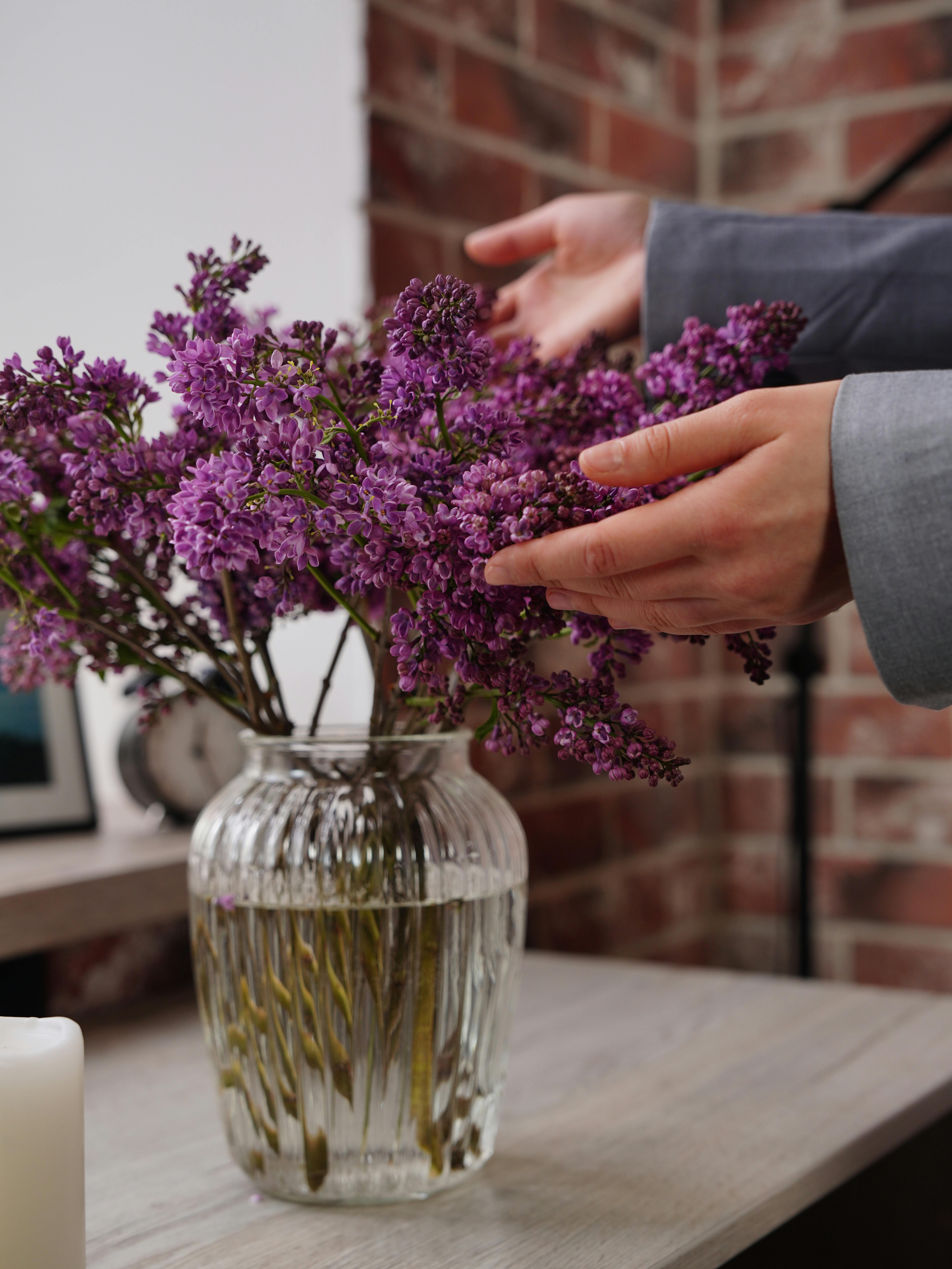 Woman Hands over Vase with Flowers · Free Stock Photo