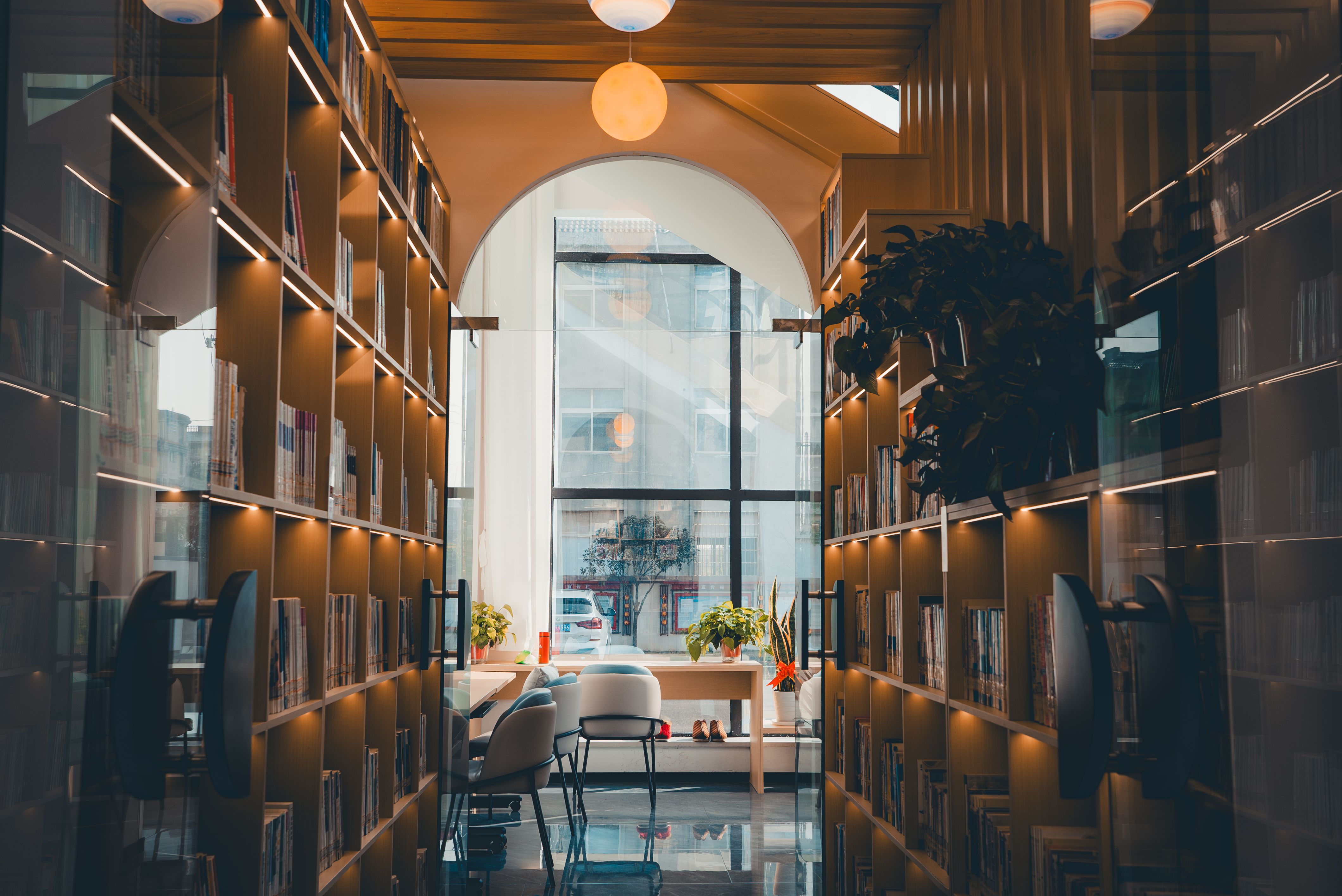 Bookcases in a Library · Free Stock Photo