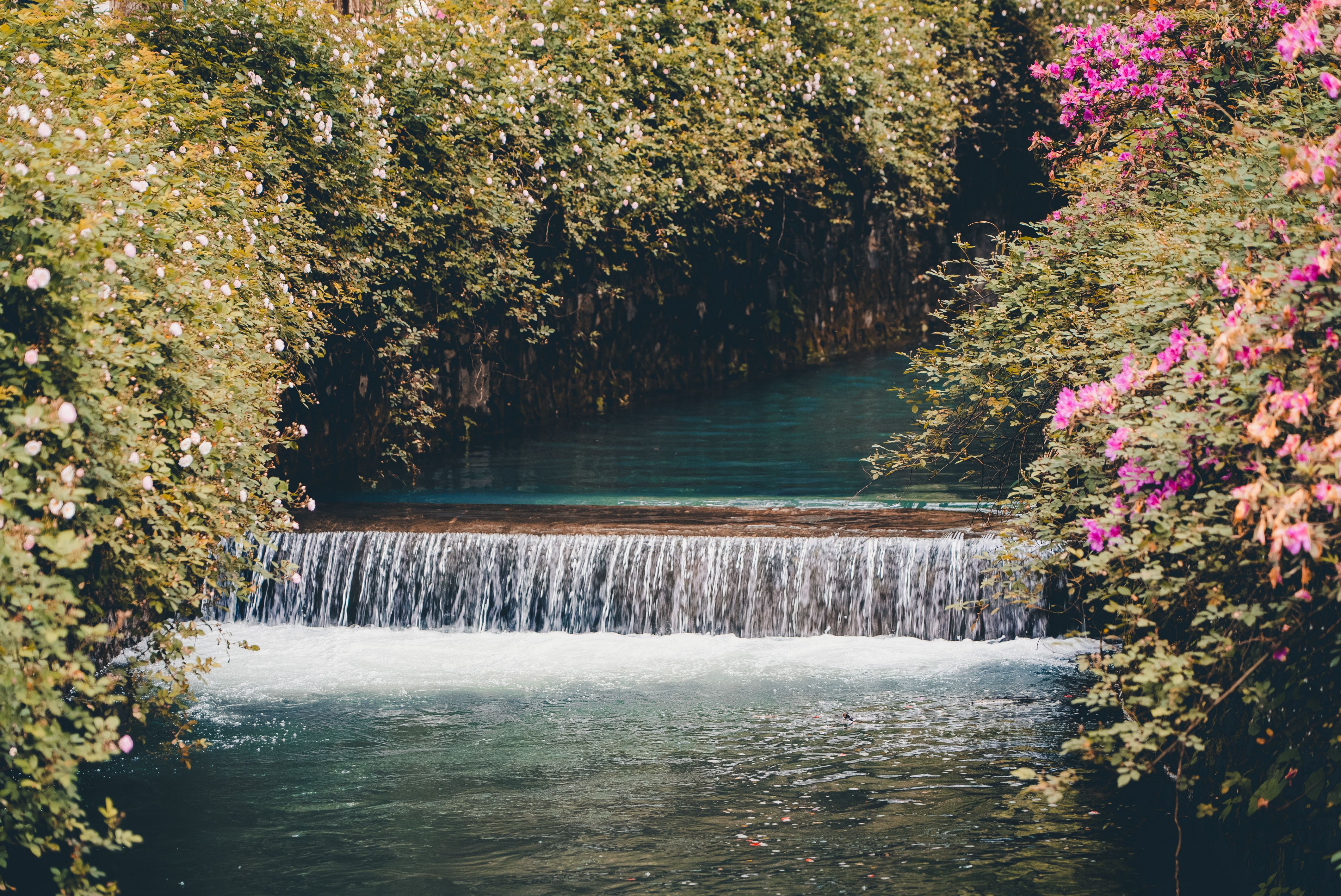 Water Flowing through Stone Step in Garden · Free Stock Photo