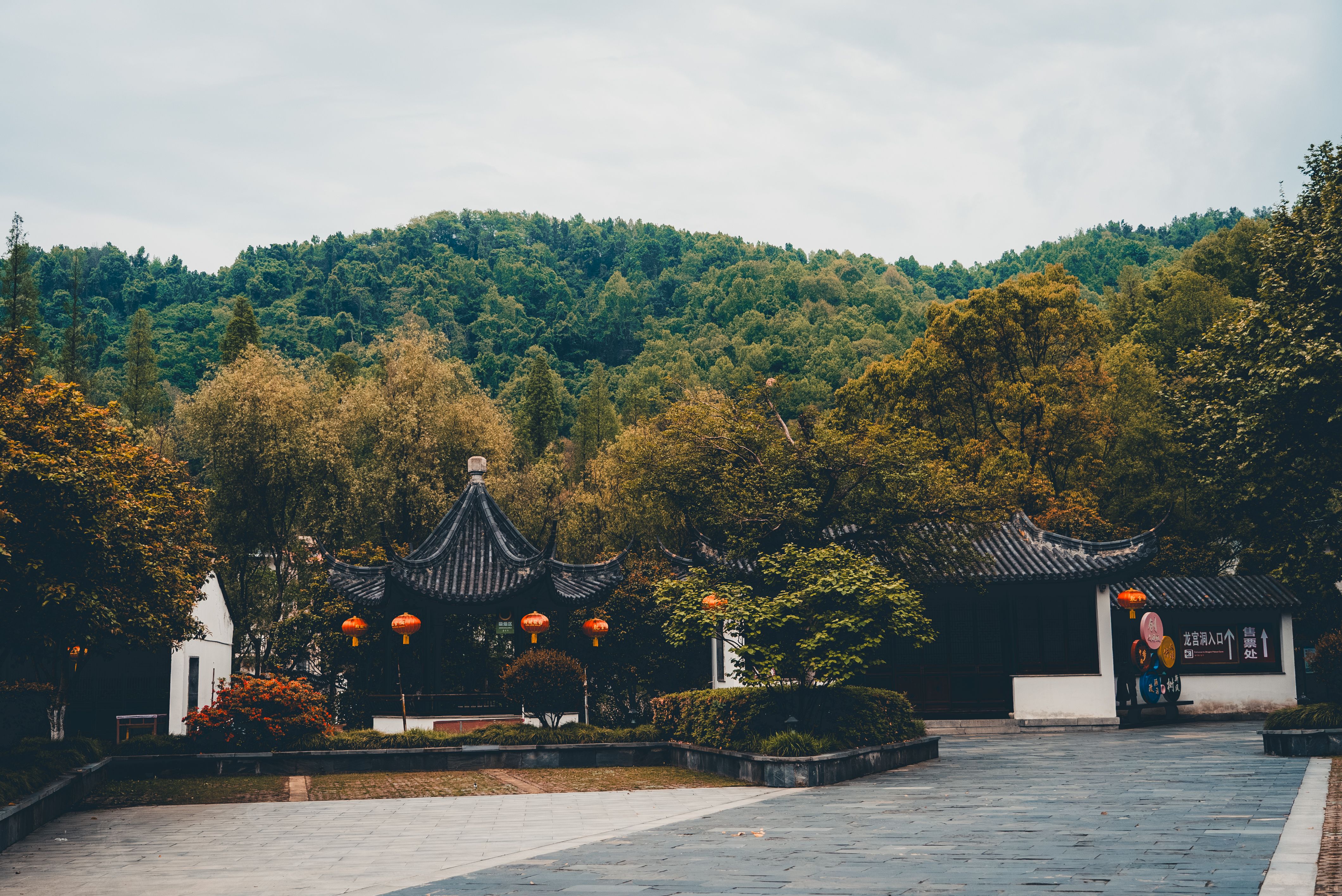 Trees in a Traditional Park · Free Stock Photo