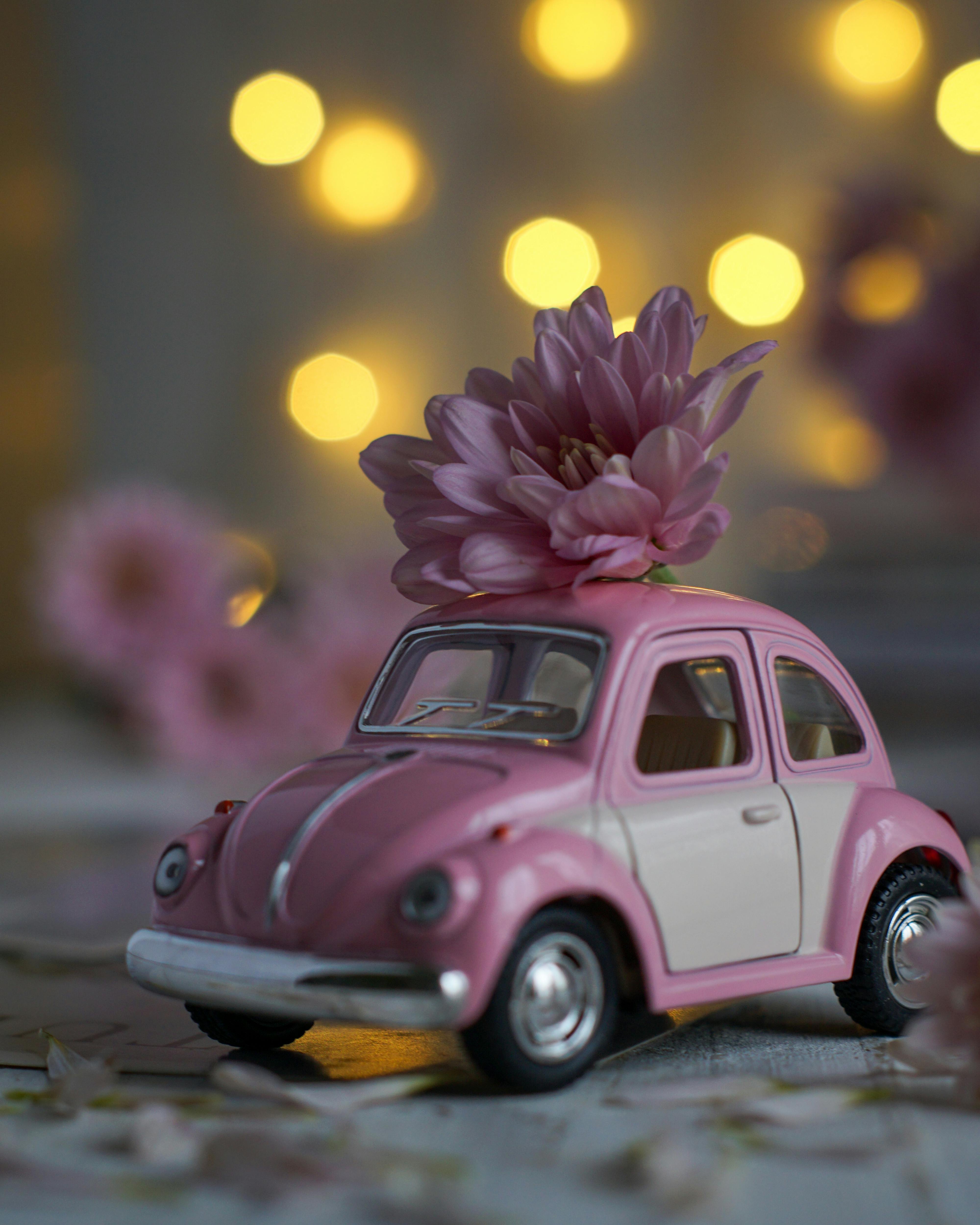Pink Flower atop Pink Toy Car · Free Stock Photo