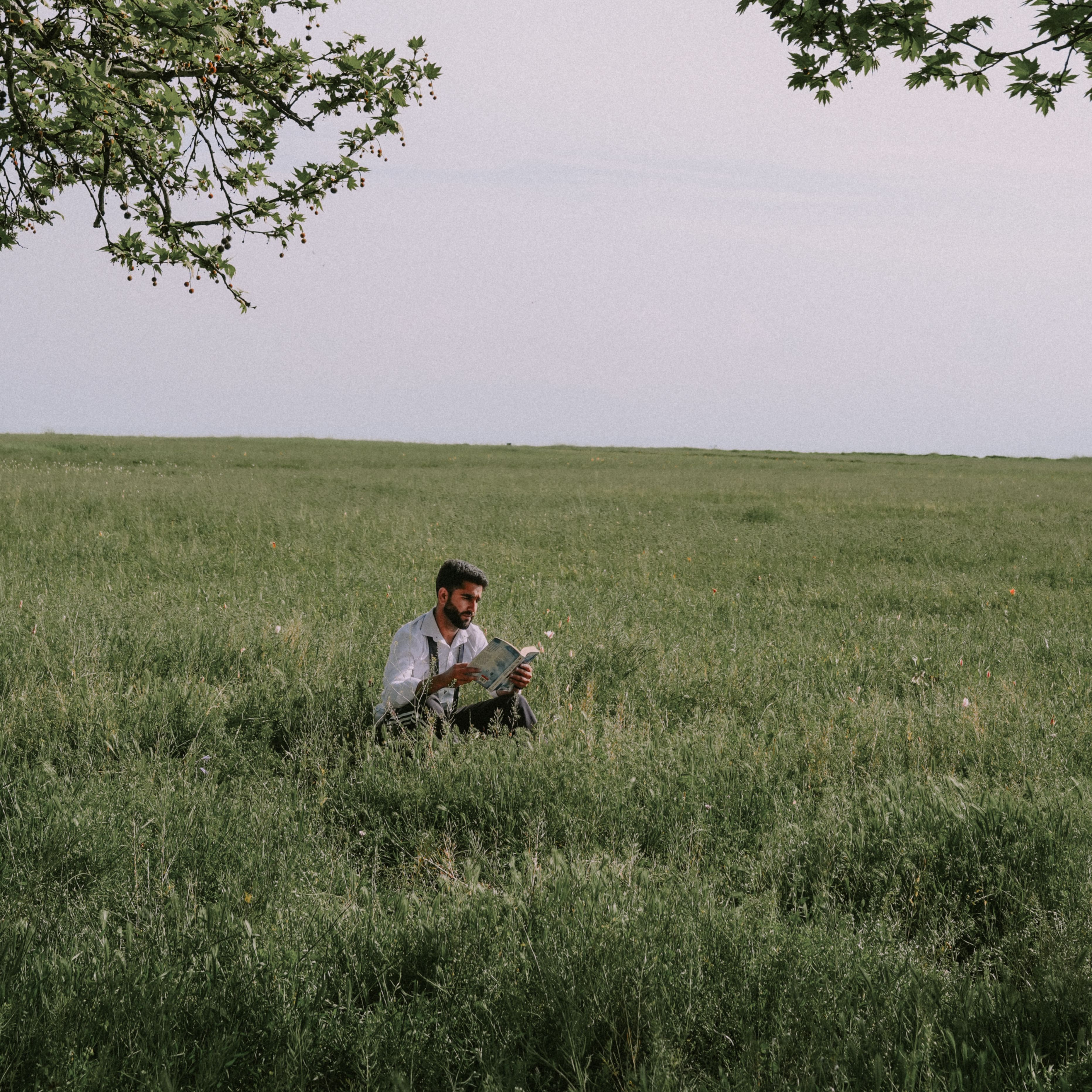 Man Reading Book Sitting in Field · Free Stock Photo