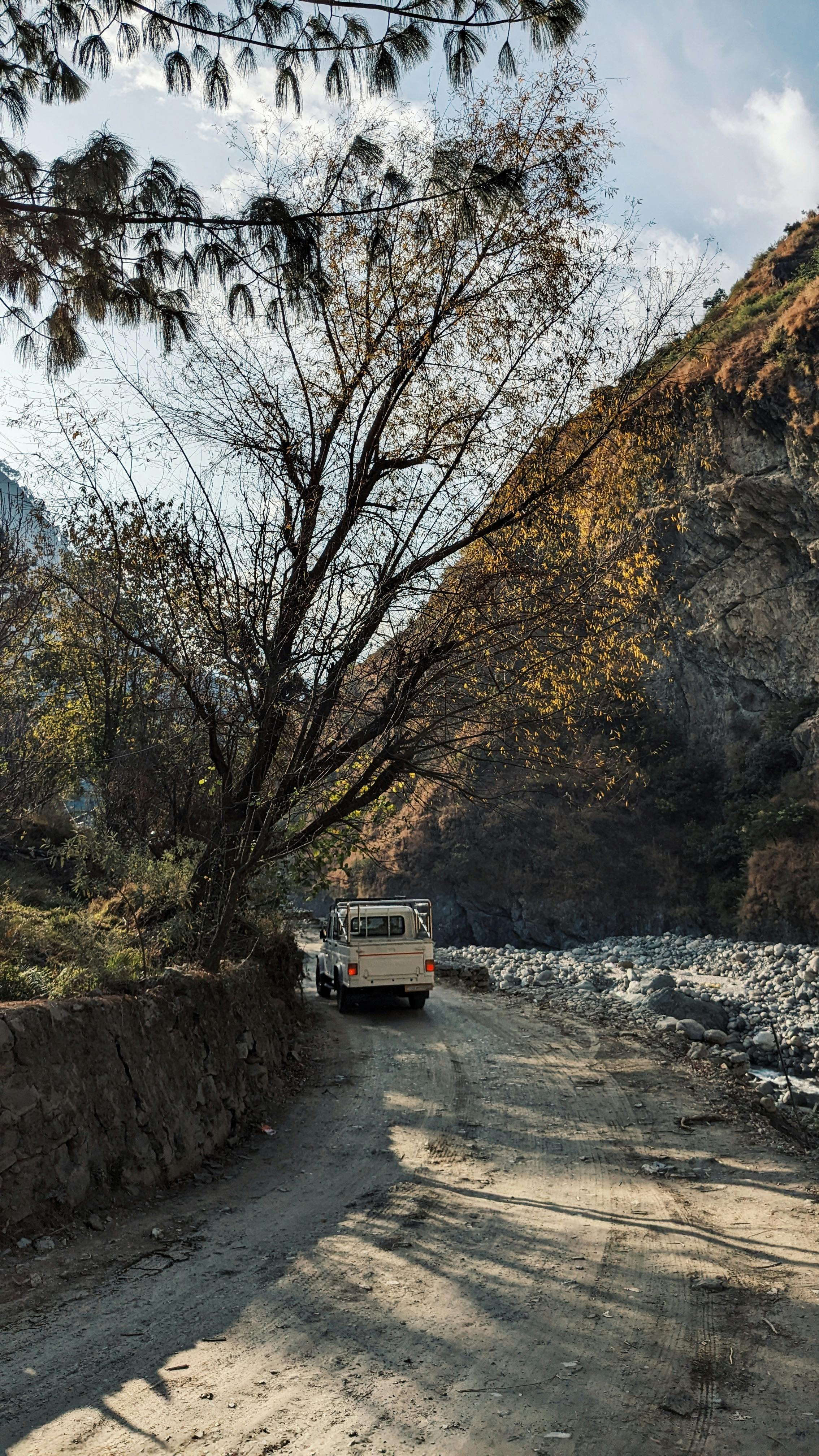 Raila Photos, Download The BEST Free Raila Stock Photos & HD Images