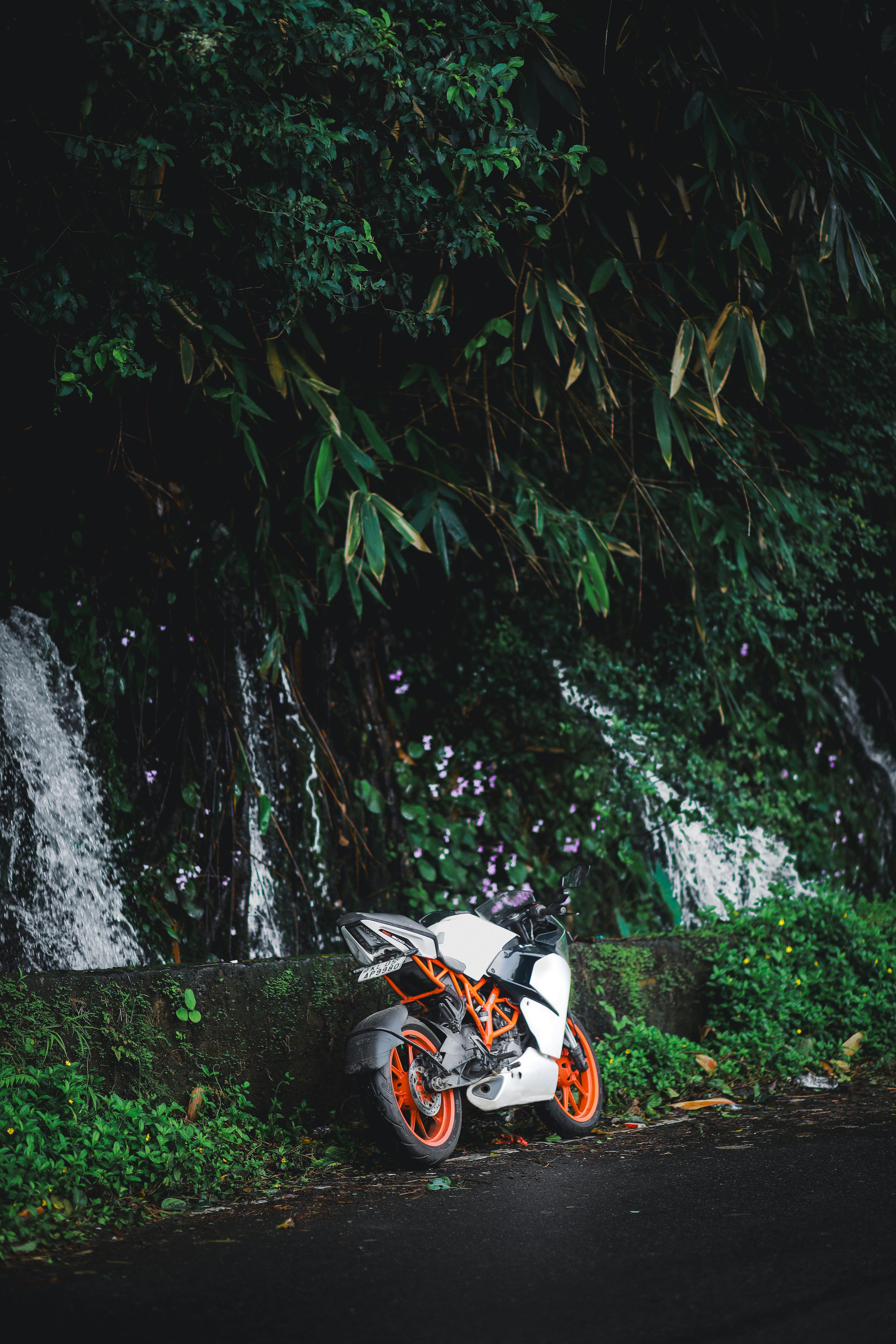Beautiful Day · Free Stock Photo