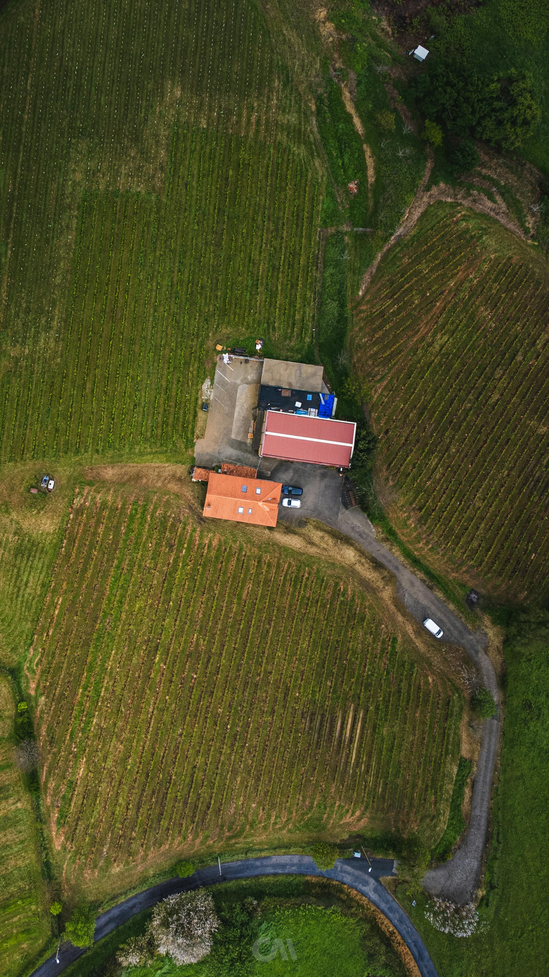 Top View Of a Rural Area · Free Stock Photo
