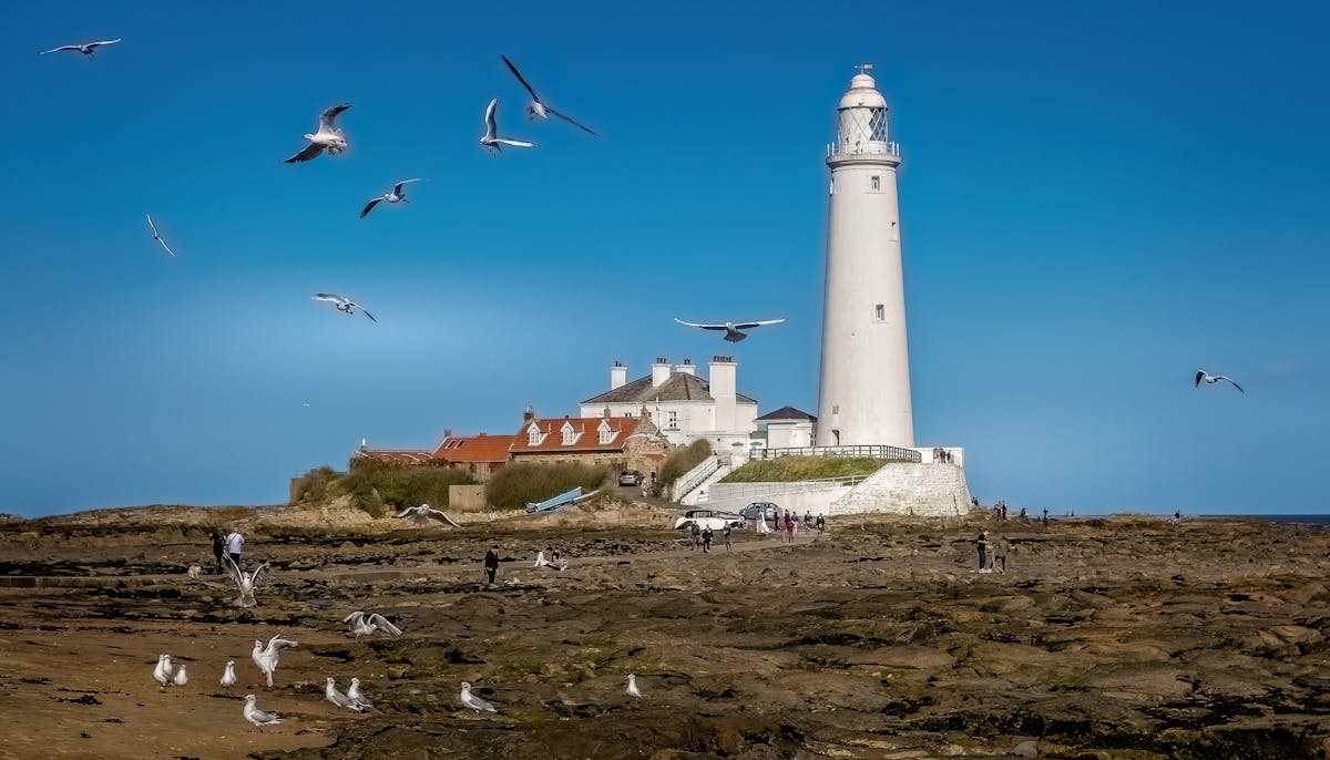 Fishing in the Fort: Inside Anegada's Unique Seafood Culture - Island ...