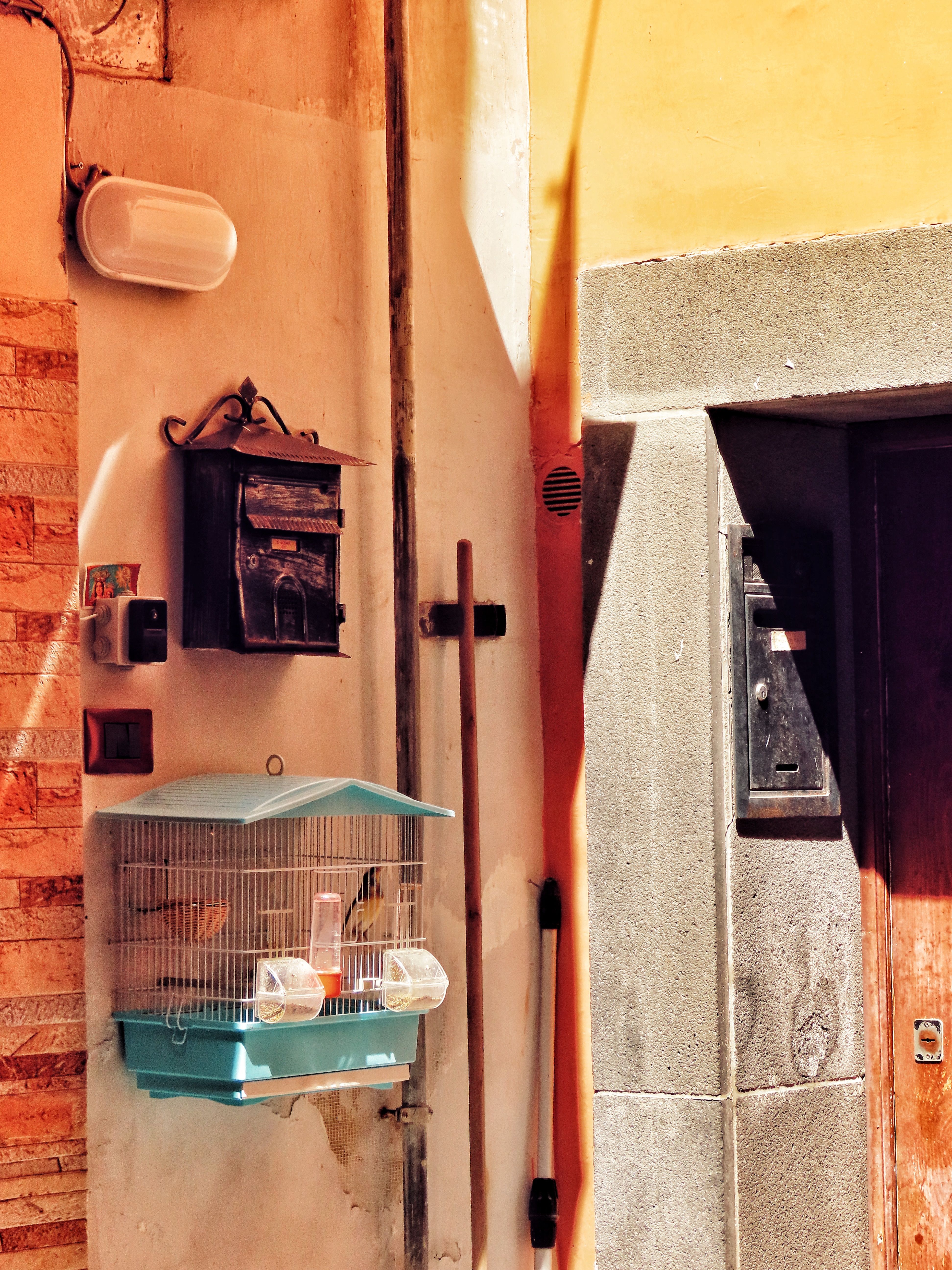 A parrot in a Cage Hanging on the Wall · Free Stock Photo