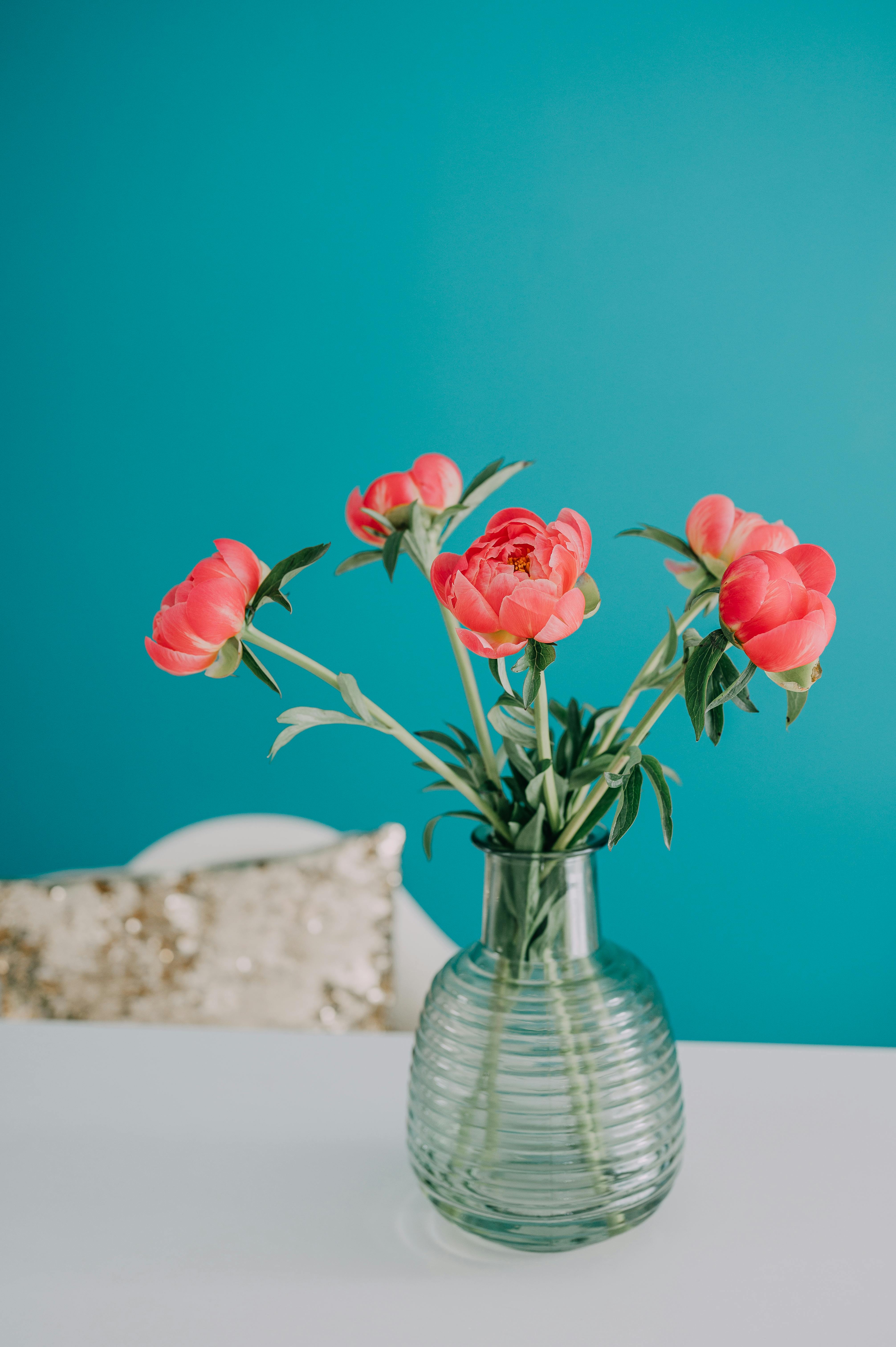 Pink Roses in a Vase · Free Stock Photo