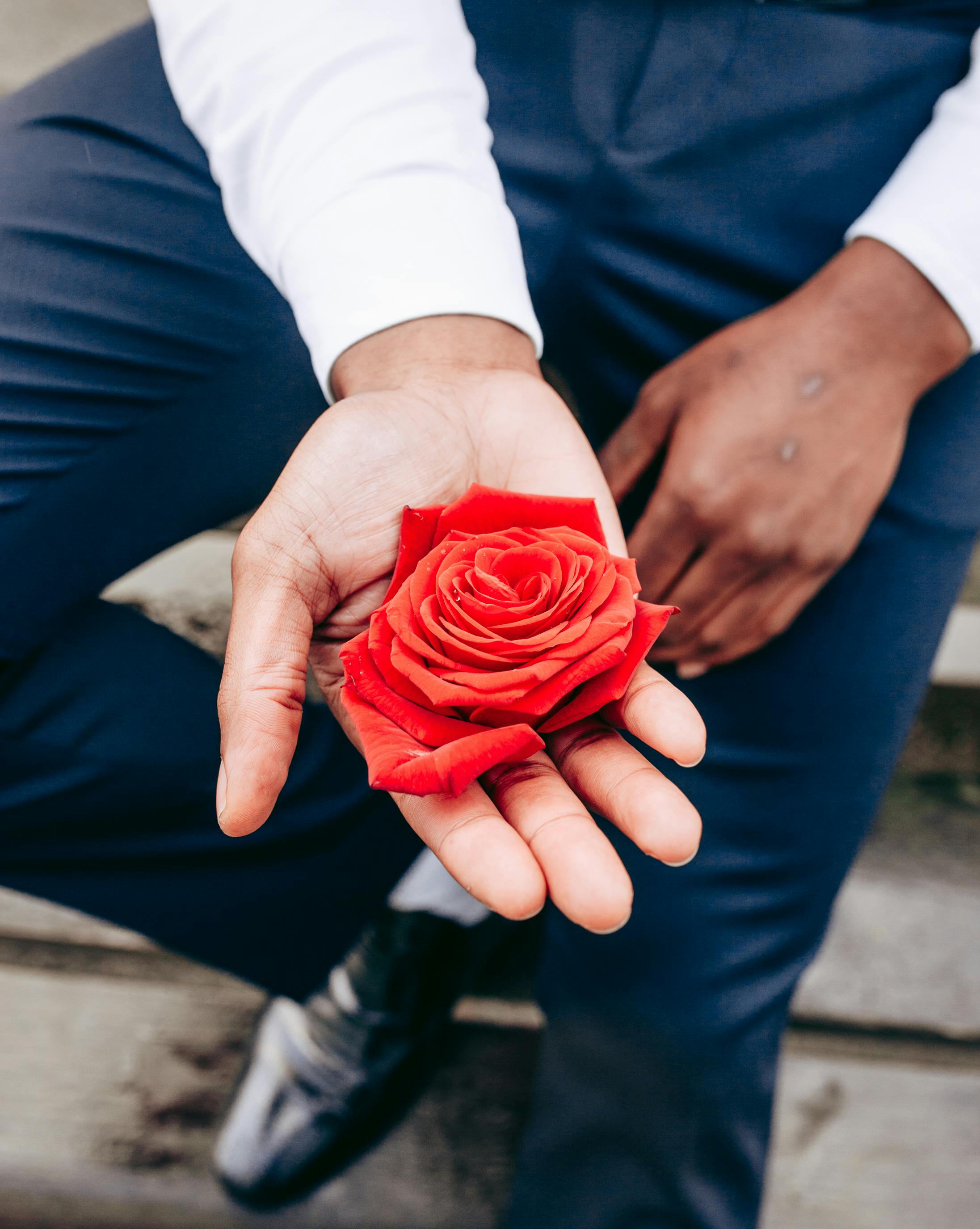 Un Hombre Presenta Una Rosa En La Mano · Foto de stock gratuita