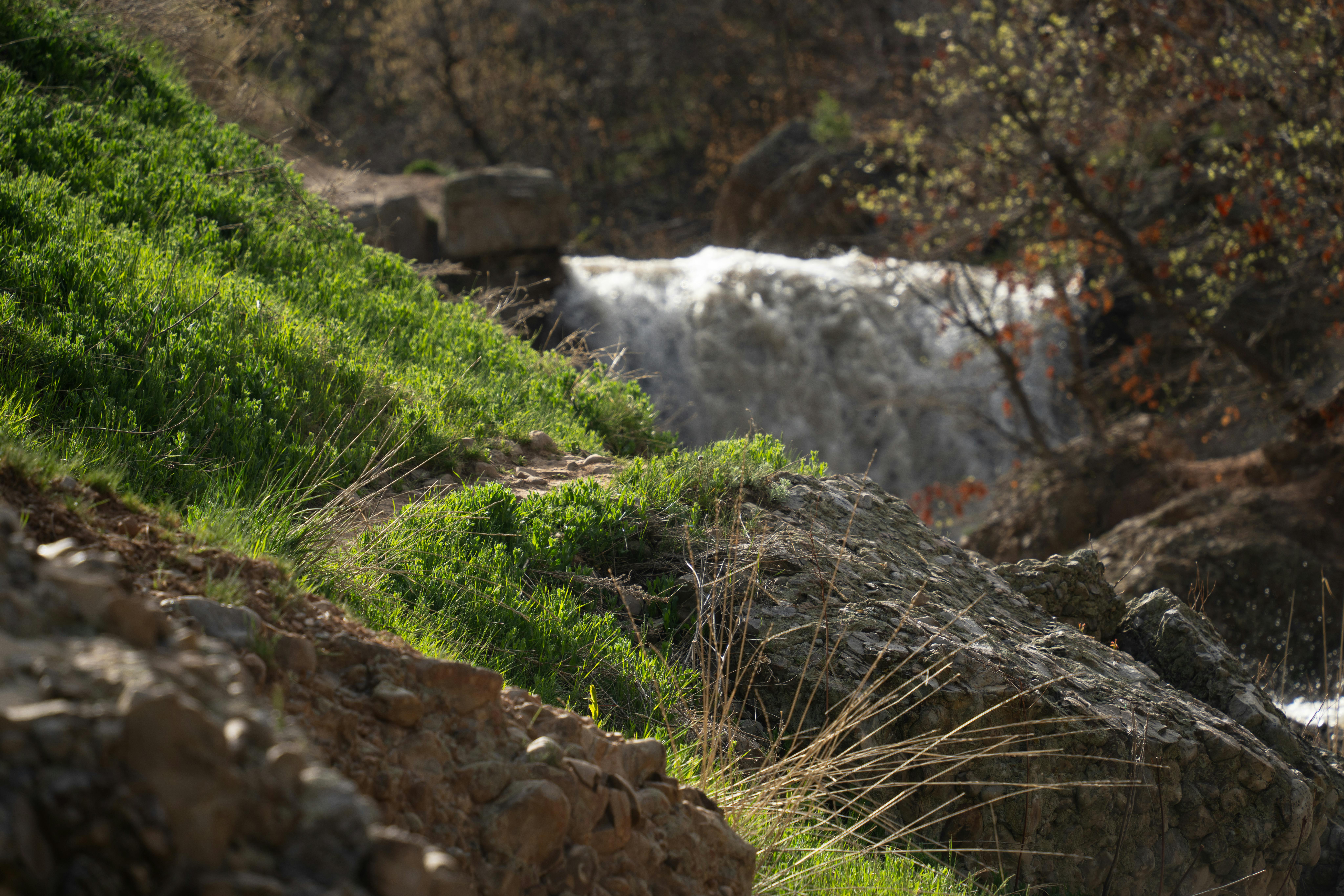 View of a Rocky Cascade in a Forest · Free Stock Photo