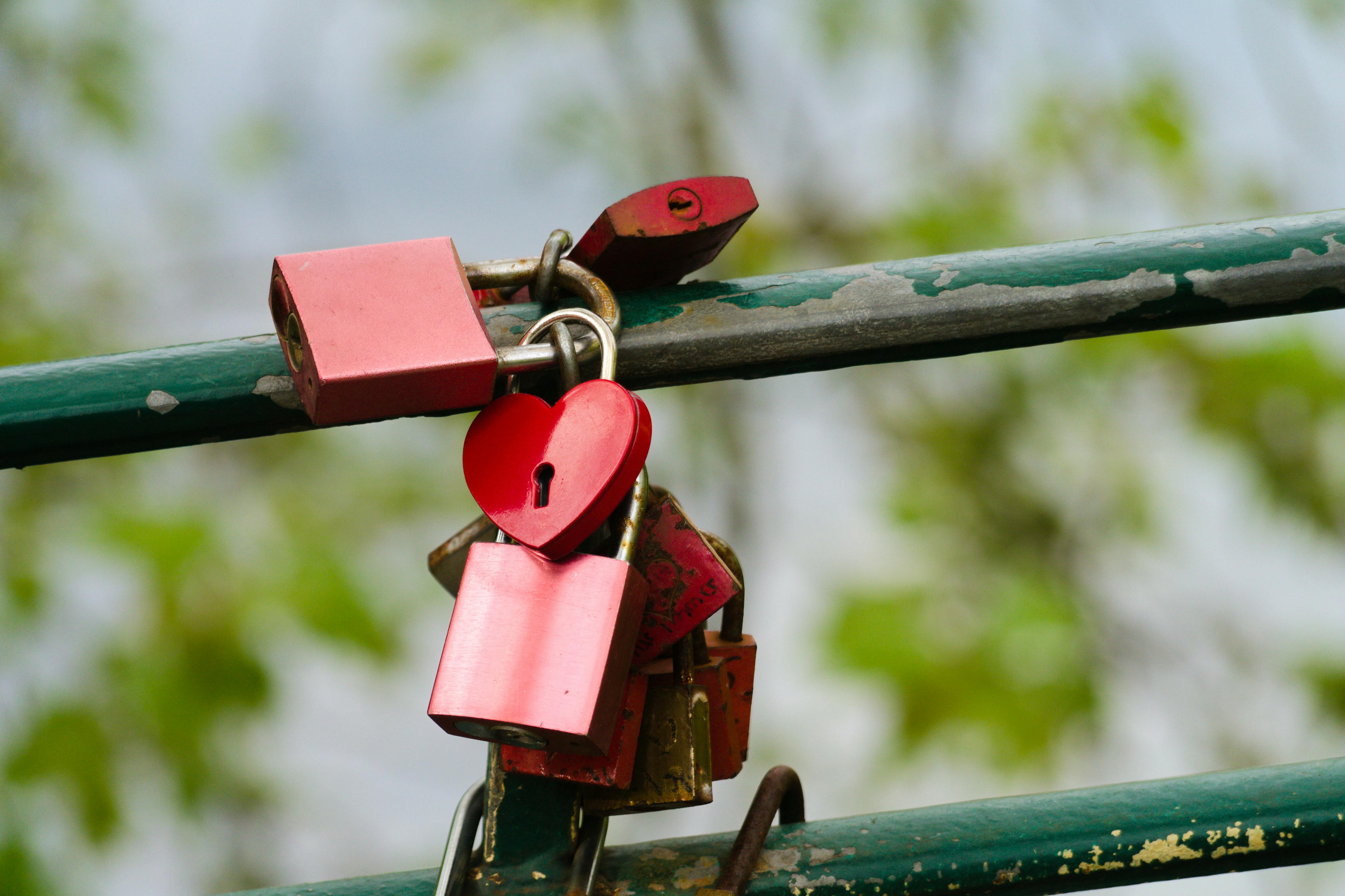 Assorted-color-shaped Padlocks Hanging on Grey Metal · Free Stock Photo