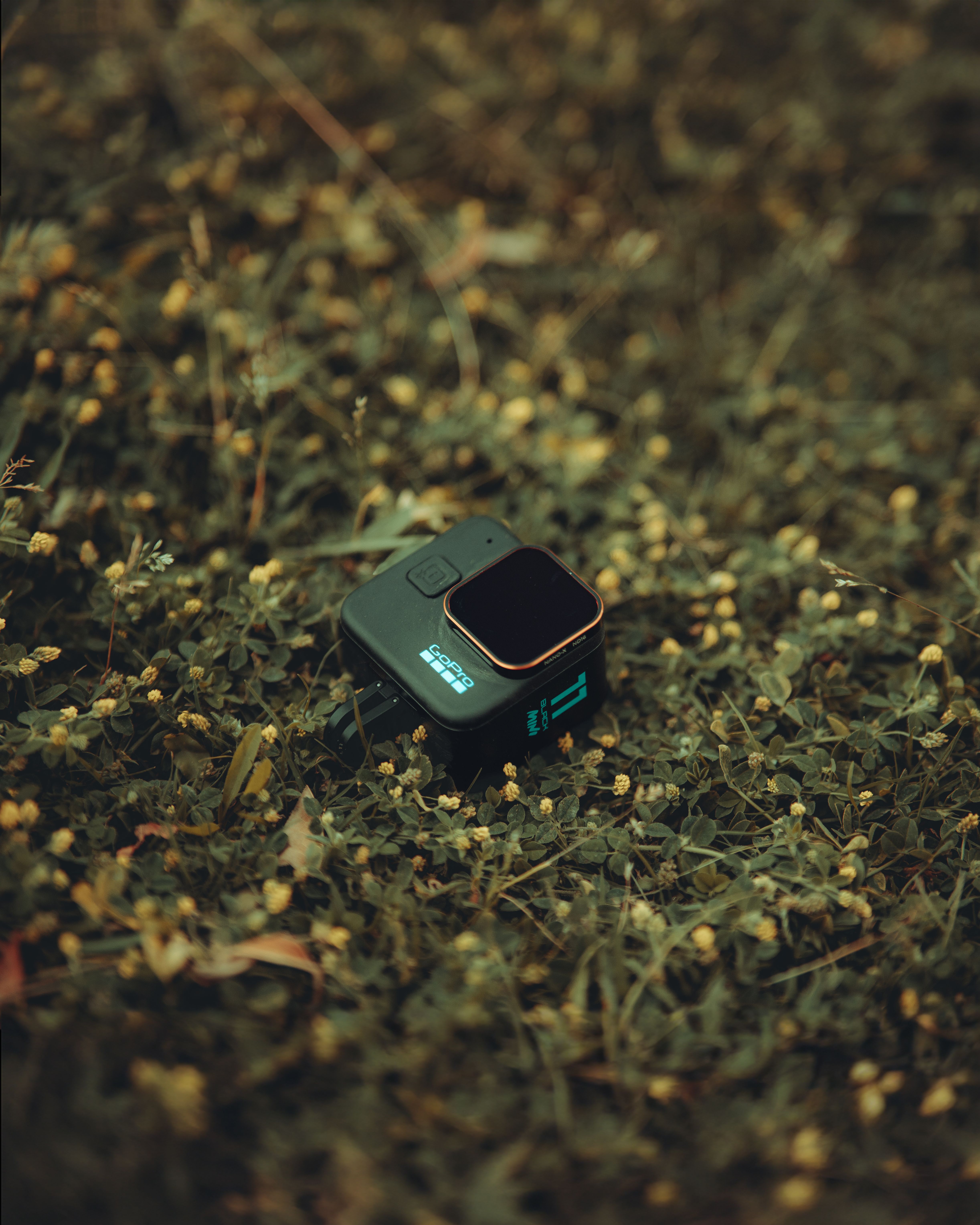 A small black watch sitting on top of some grass · Free Stock Photo