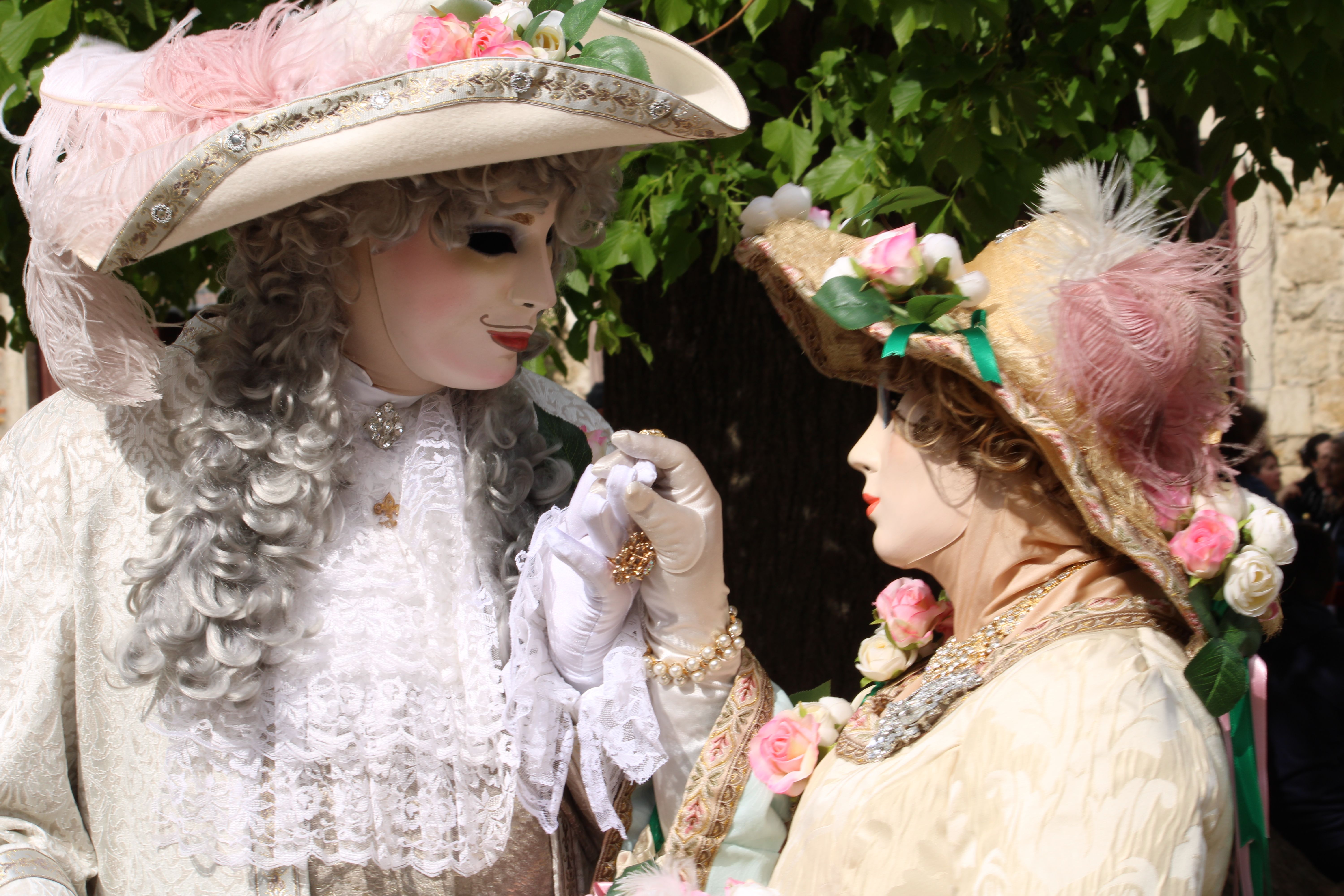 A couple dressed in fancy costumes and hats · Free Stock Photo