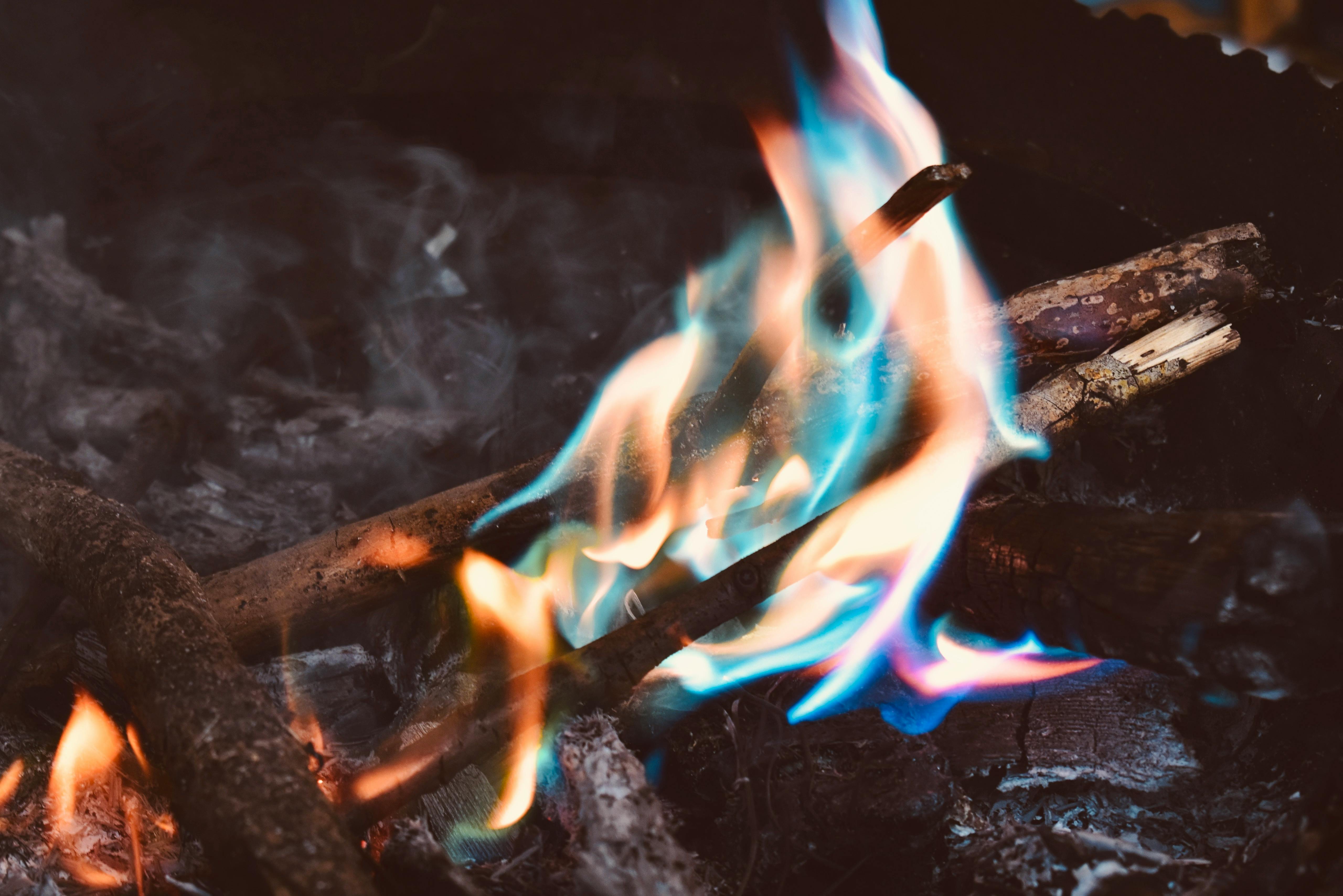 Close-up of Burning Sticks · Free Stock Photo