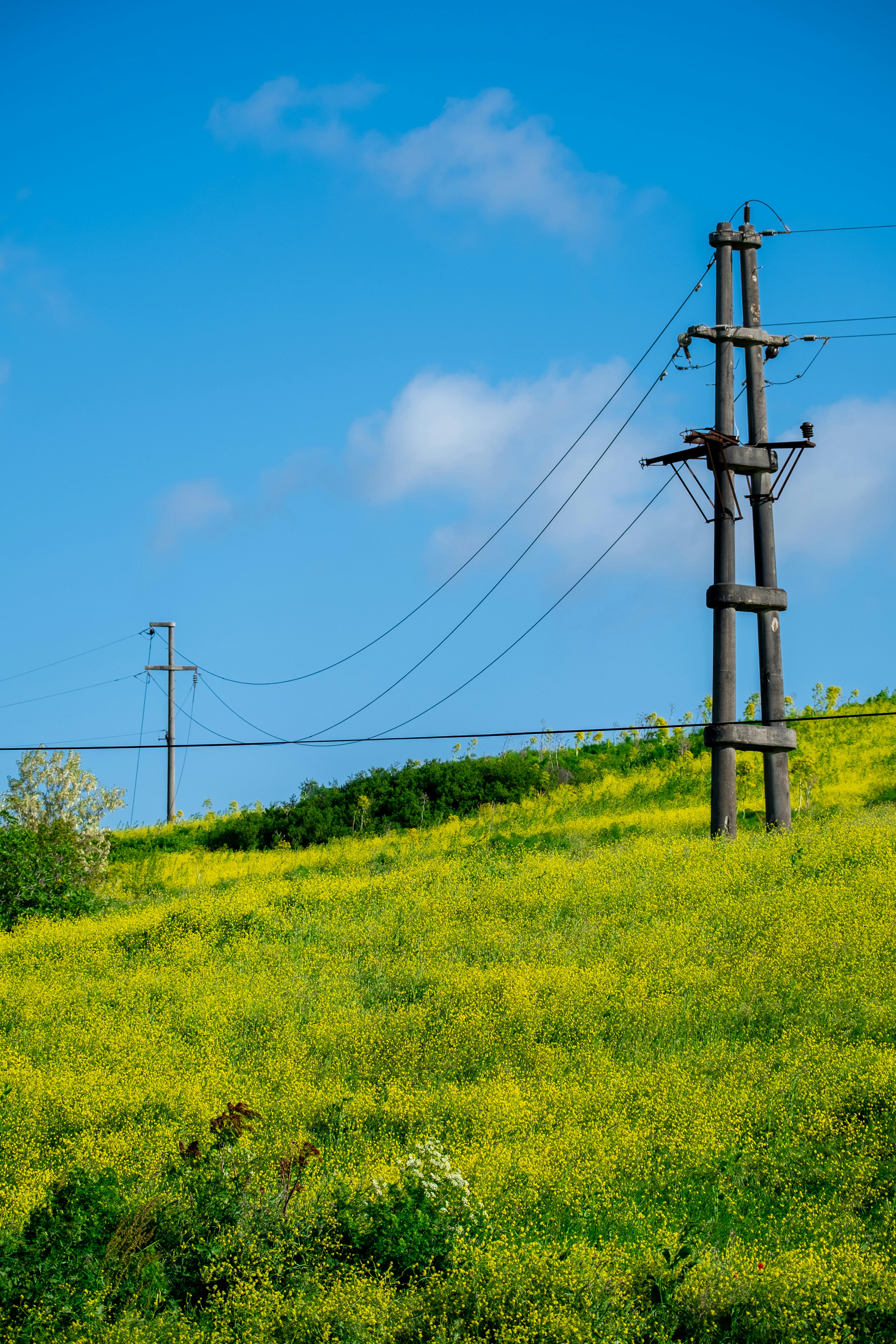 Pylons Photos, Download The BEST Free Pylons Stock Photos & HD Images