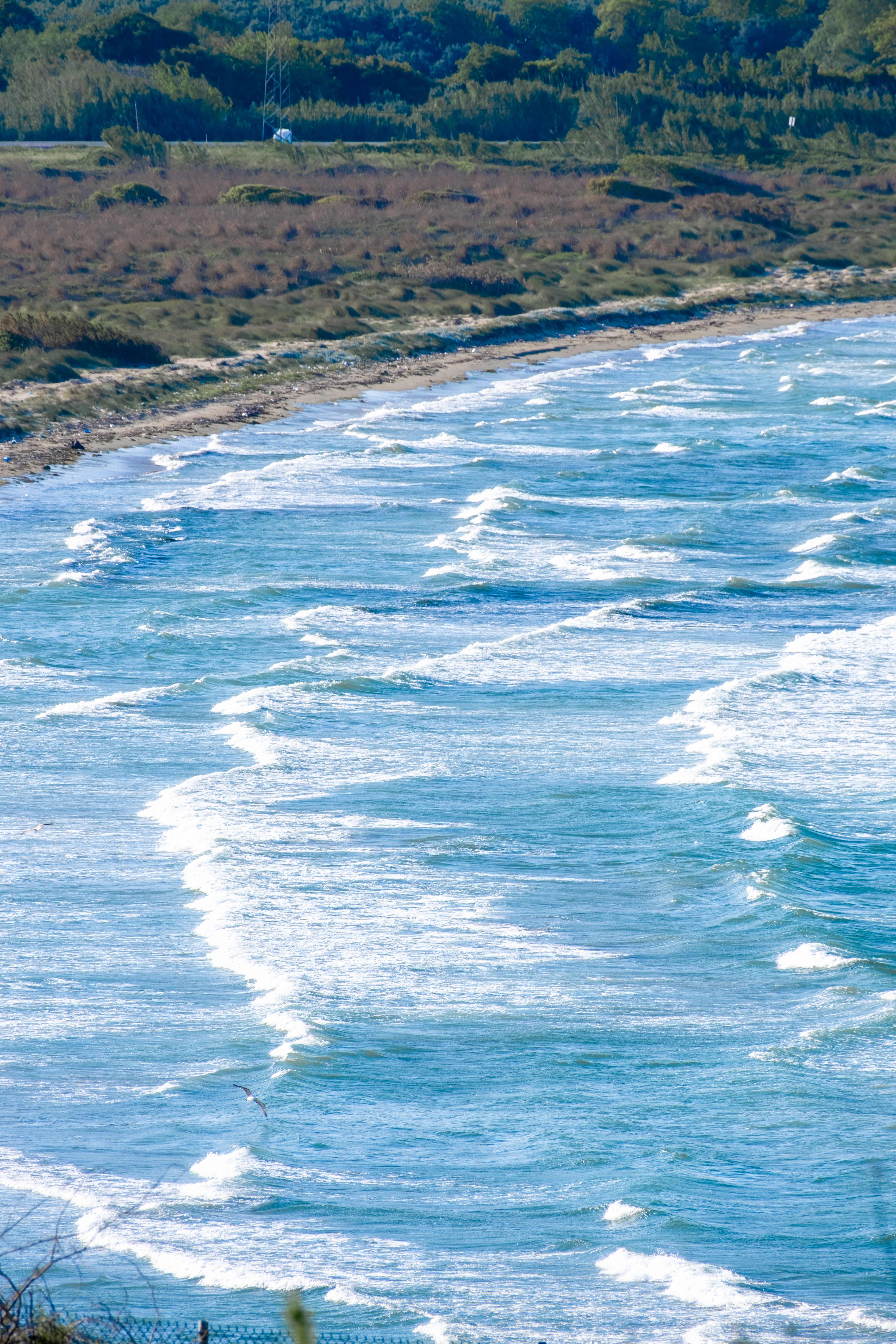 Waves in Bay · Free Stock Photo