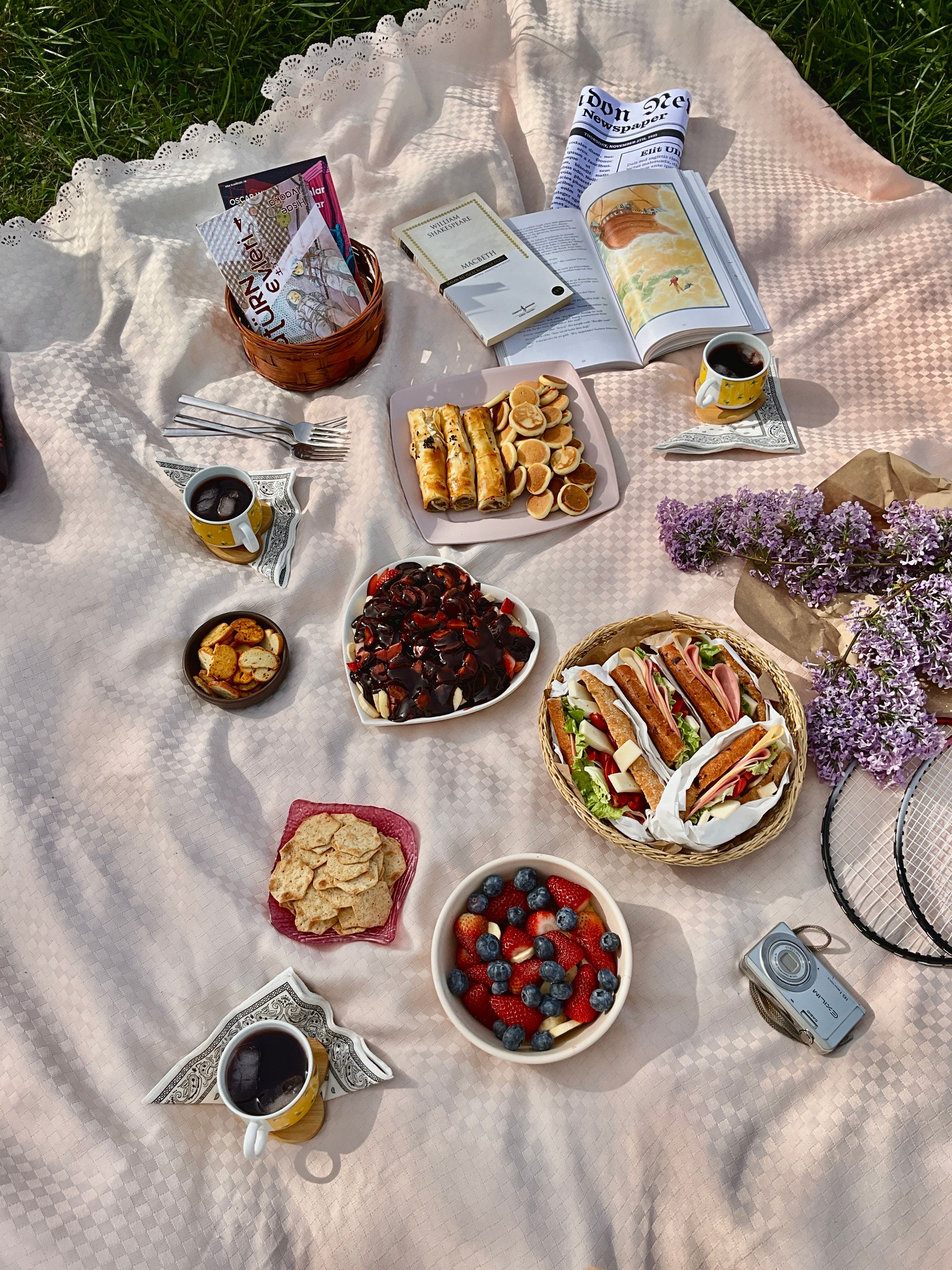 Picnic Food Laid out on a Blanket · Free Stock Photo