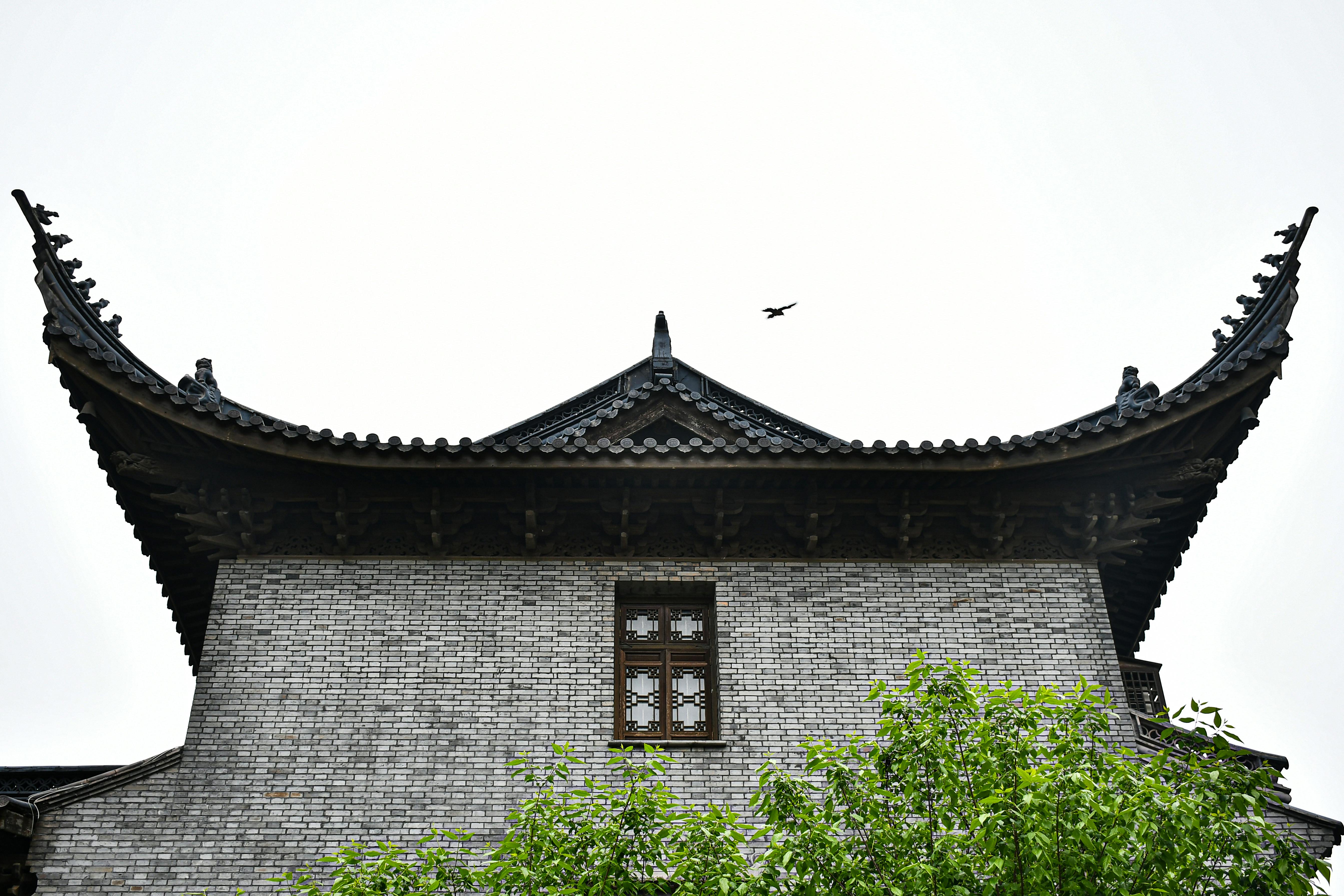 A bird flies over a building with a roof · Free Stock Photo