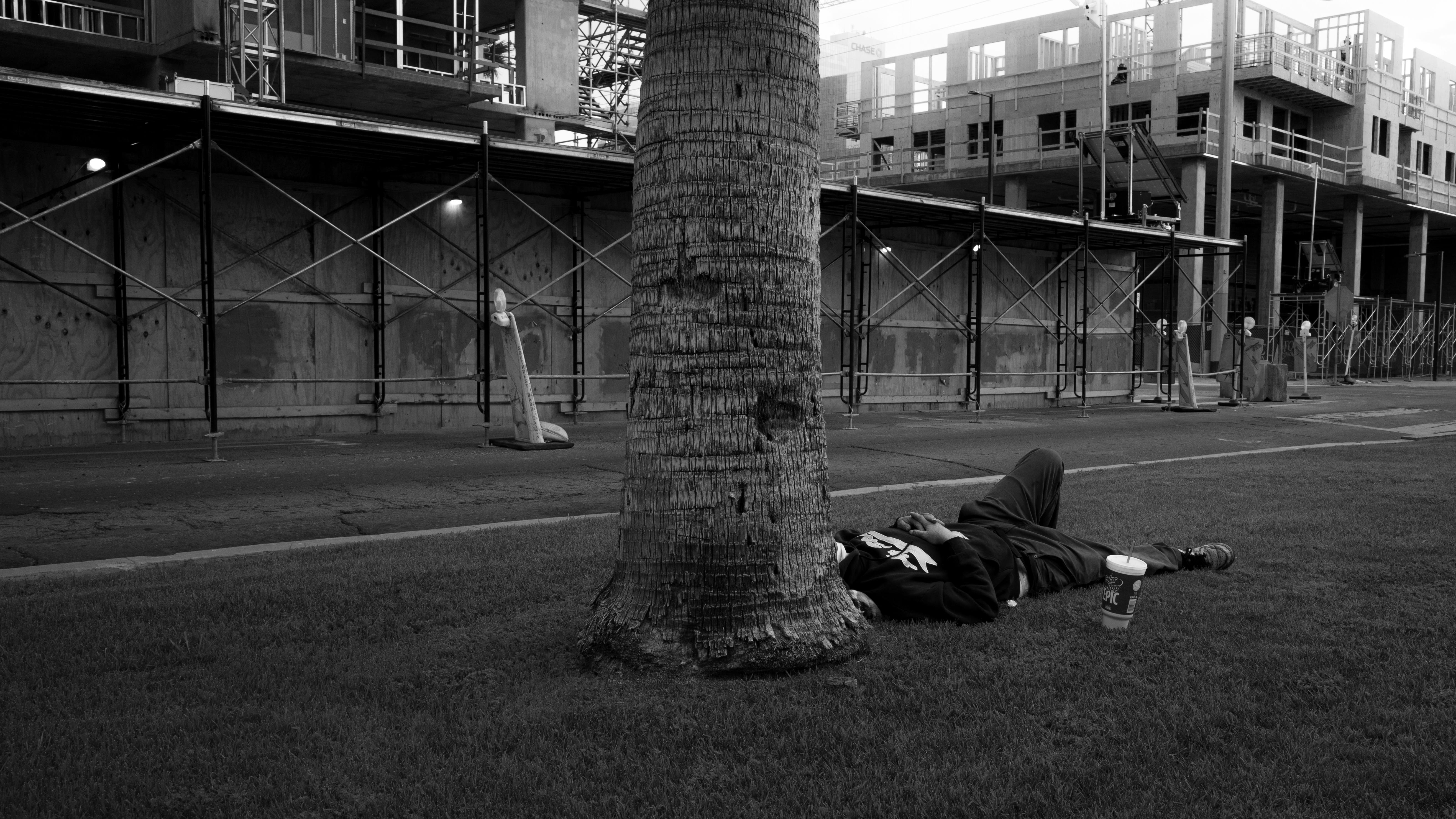 Man Lying under Tree by Construction Site · Free Stock Photo