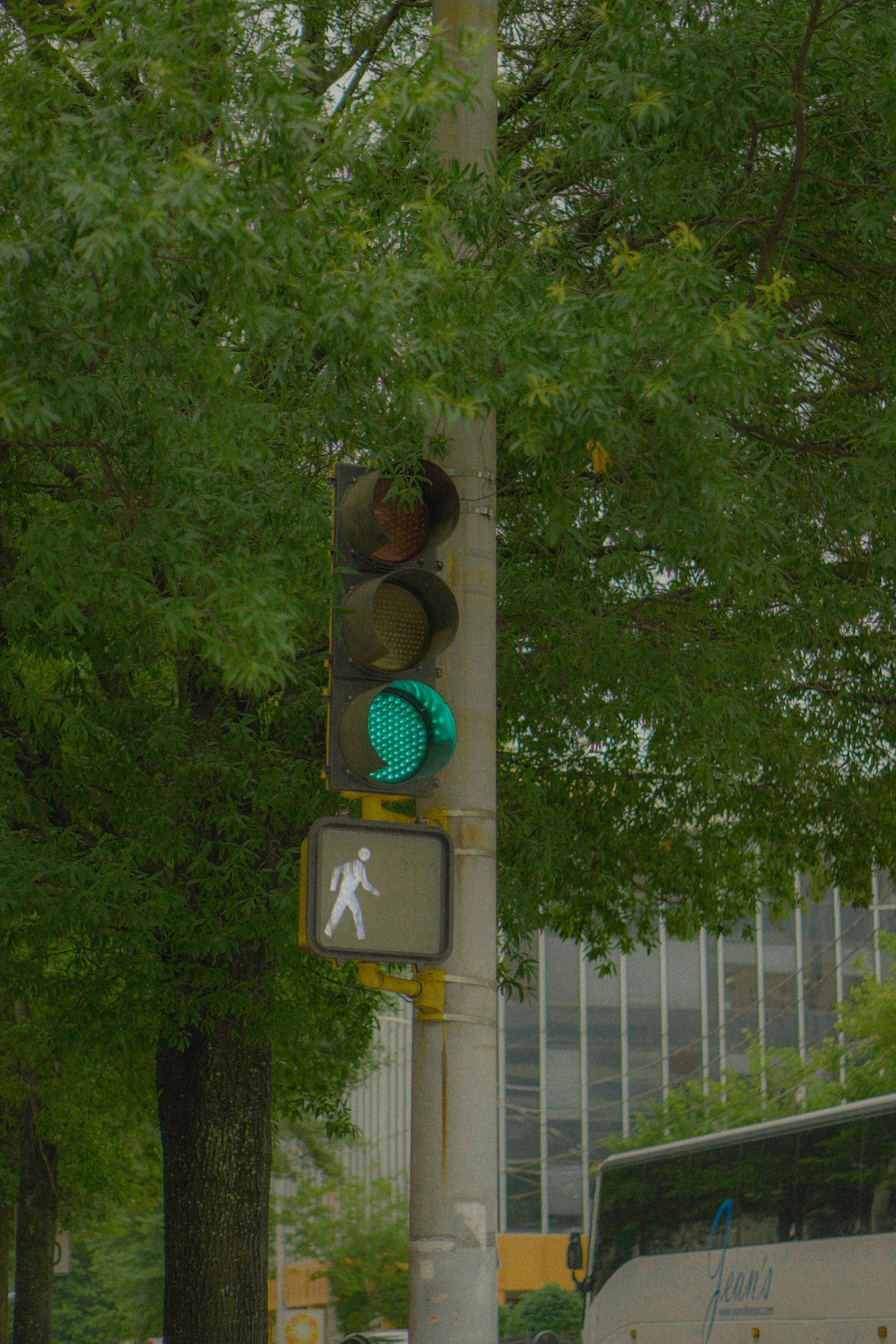 Green Traffic Light · Free Stock Photo