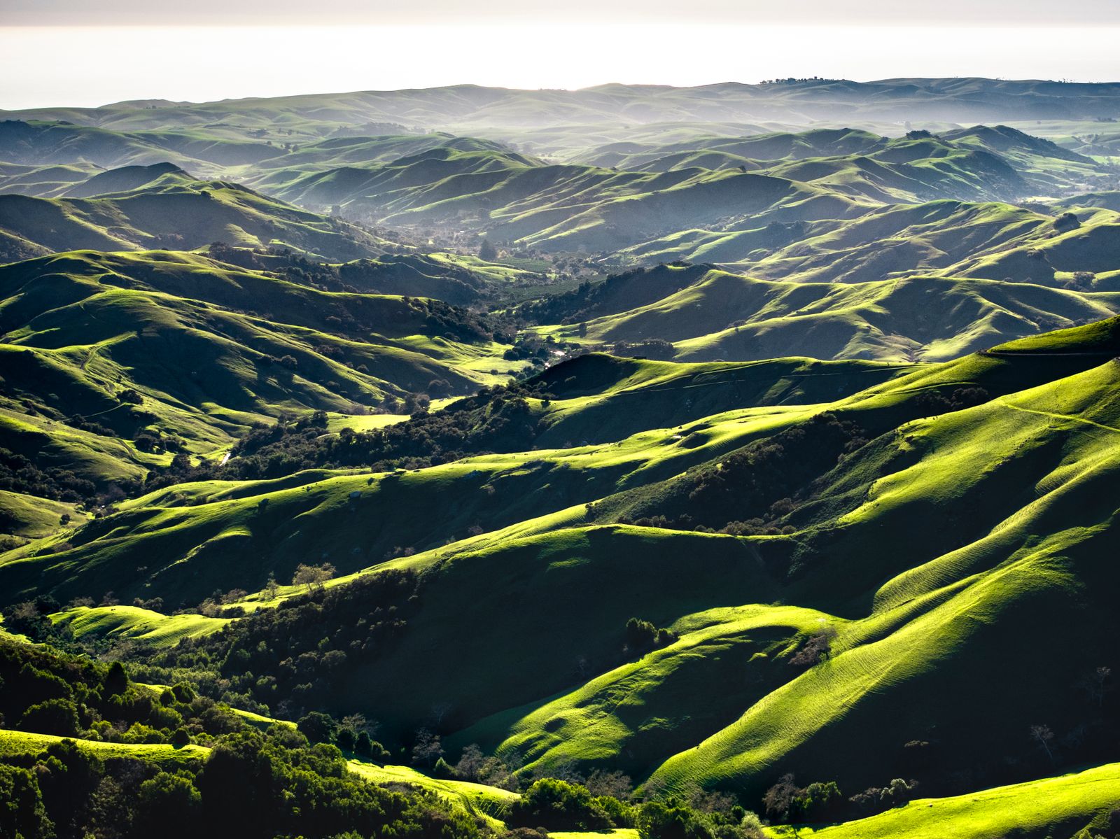 Green Hills Photos, Download The BEST Free Green Hills Stock Photos ...