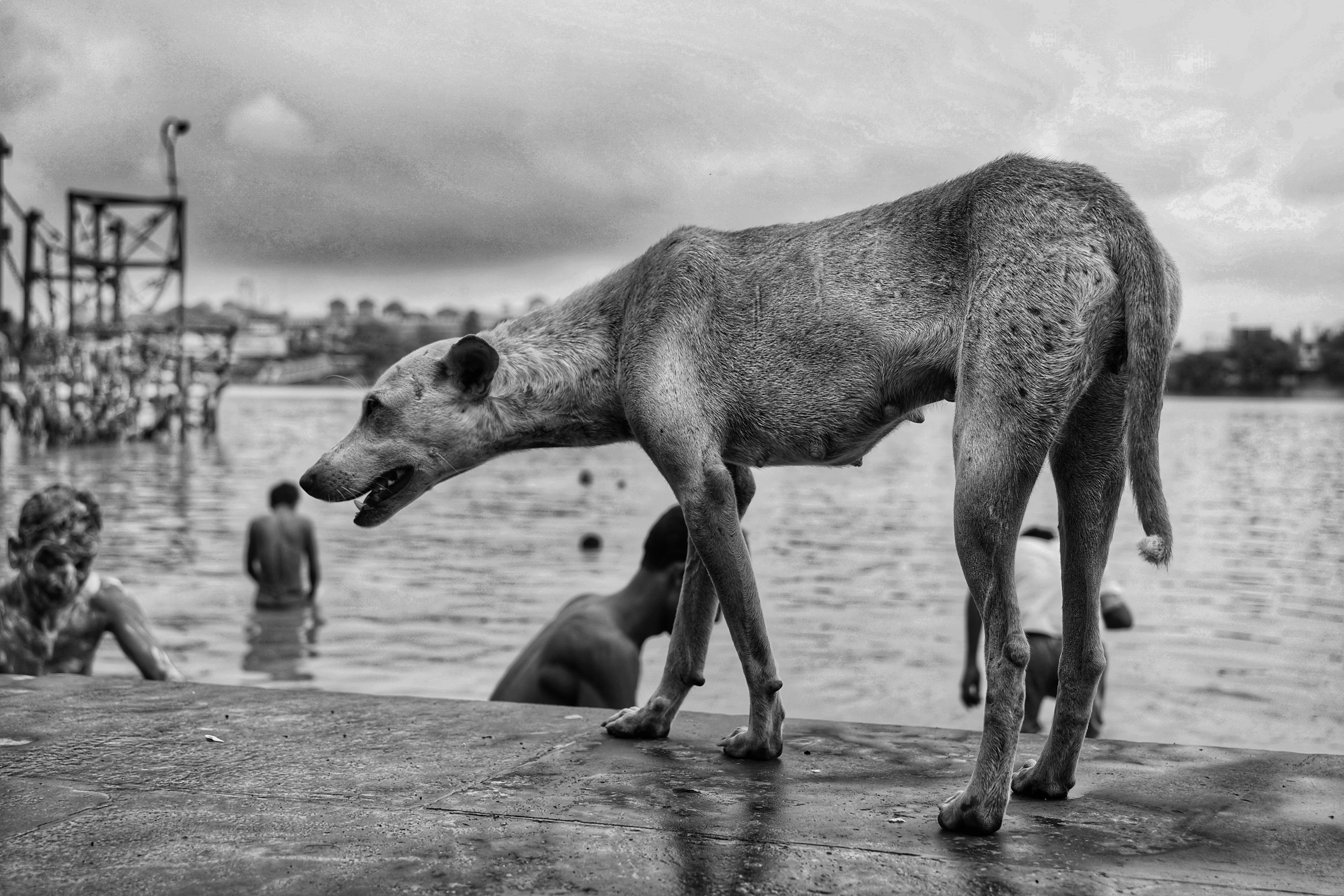 Localtraditions Photos, Download The BEST Free Localtraditions Stock ...