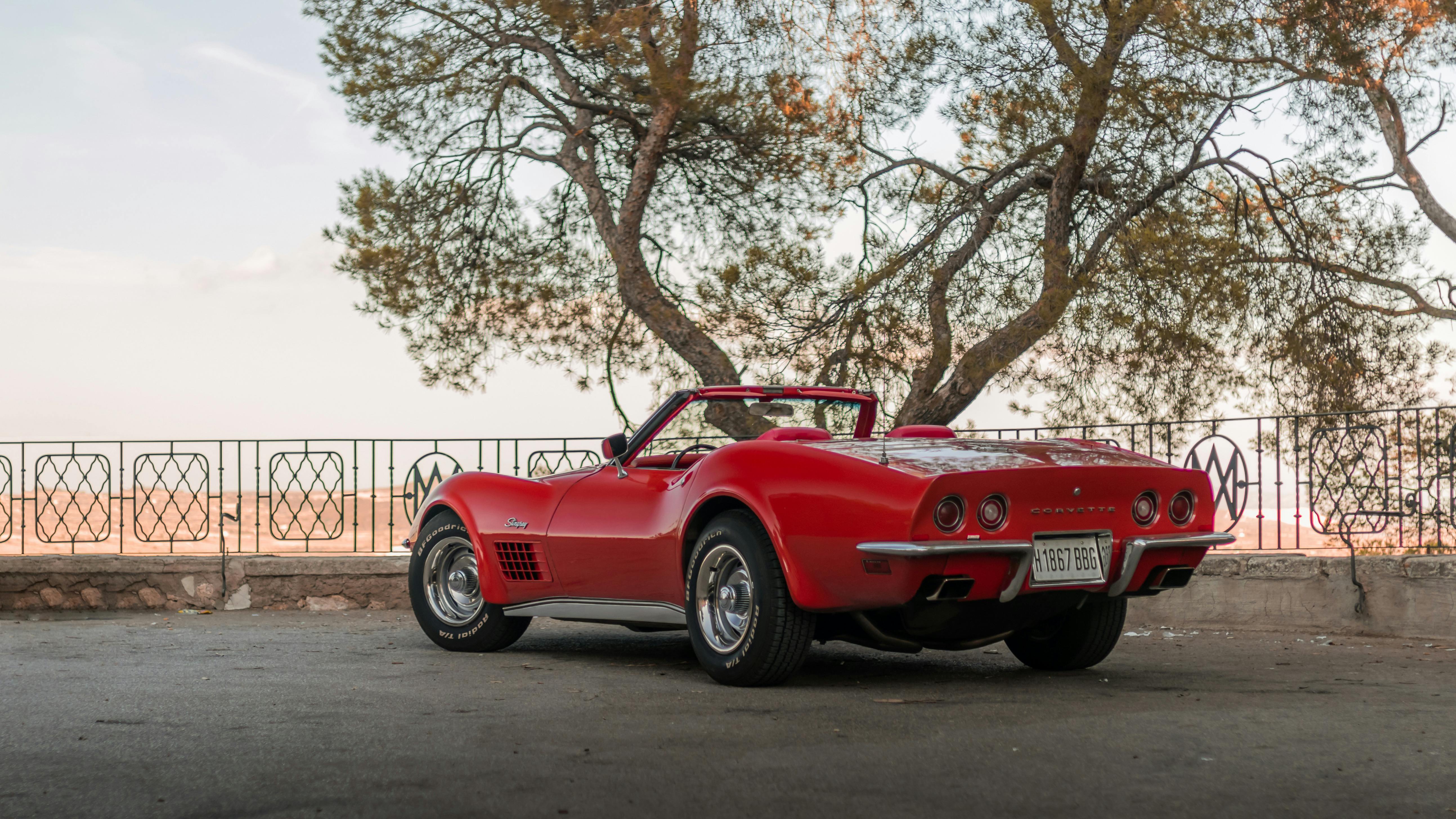 Back View of Red Chevrolet Corvette · Free Stock Photo