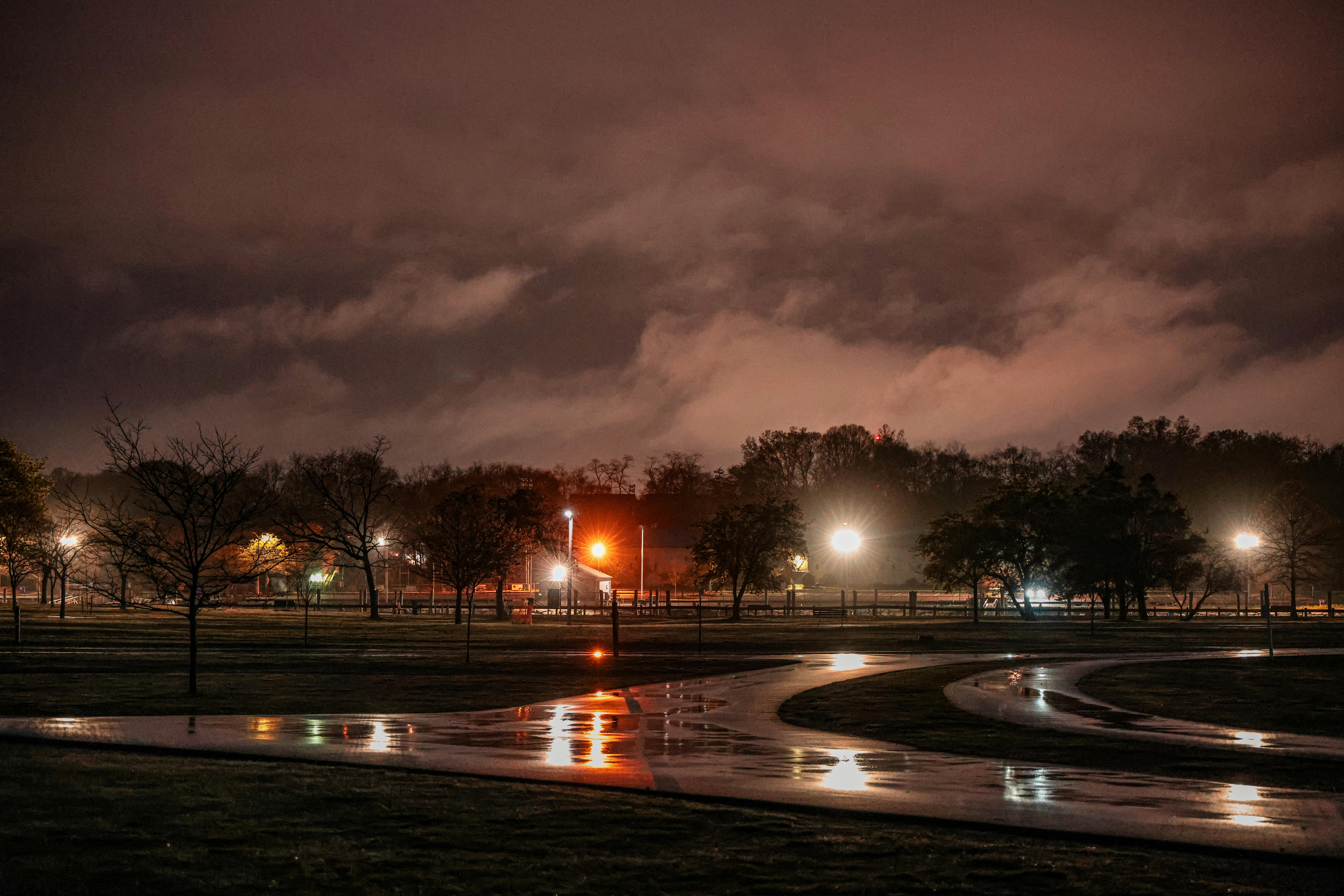 Illuminated Park at Night · Free Stock Photo