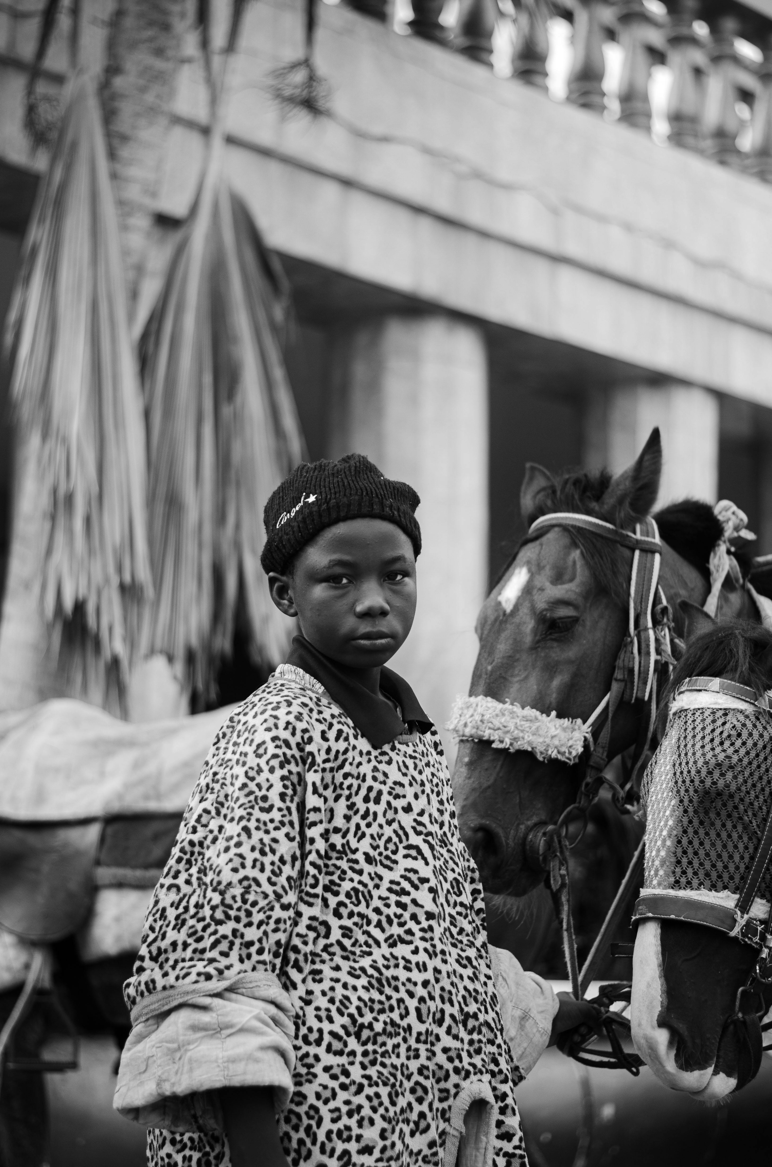Portrait of a Boy Wearing a Leopard Print · Free Stock Photo