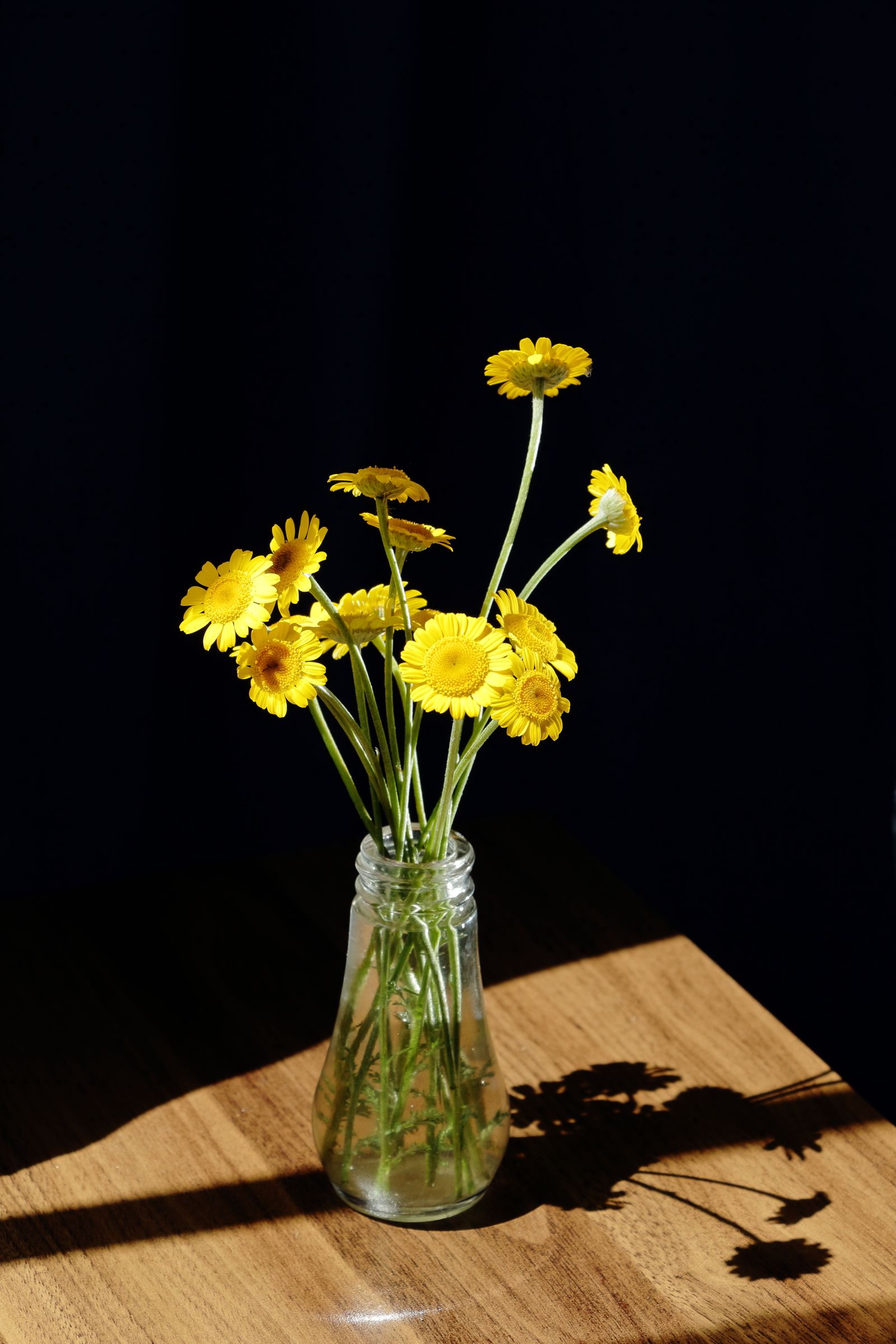 Vase Of Flowers Photos, Download The BEST Free Vase Of Flowers Stock ...