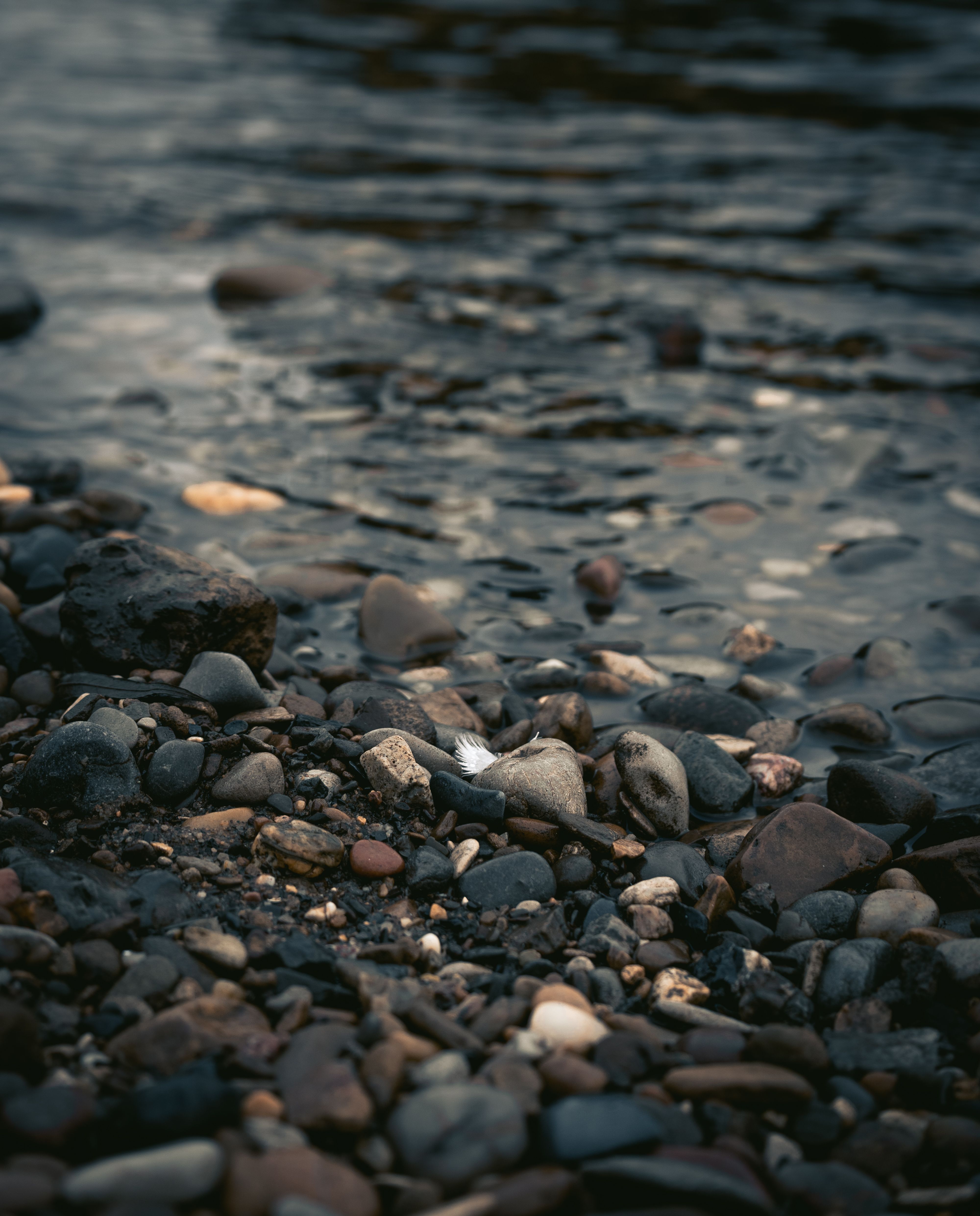 Stones and Pebbles on Shore · Free Stock Photo