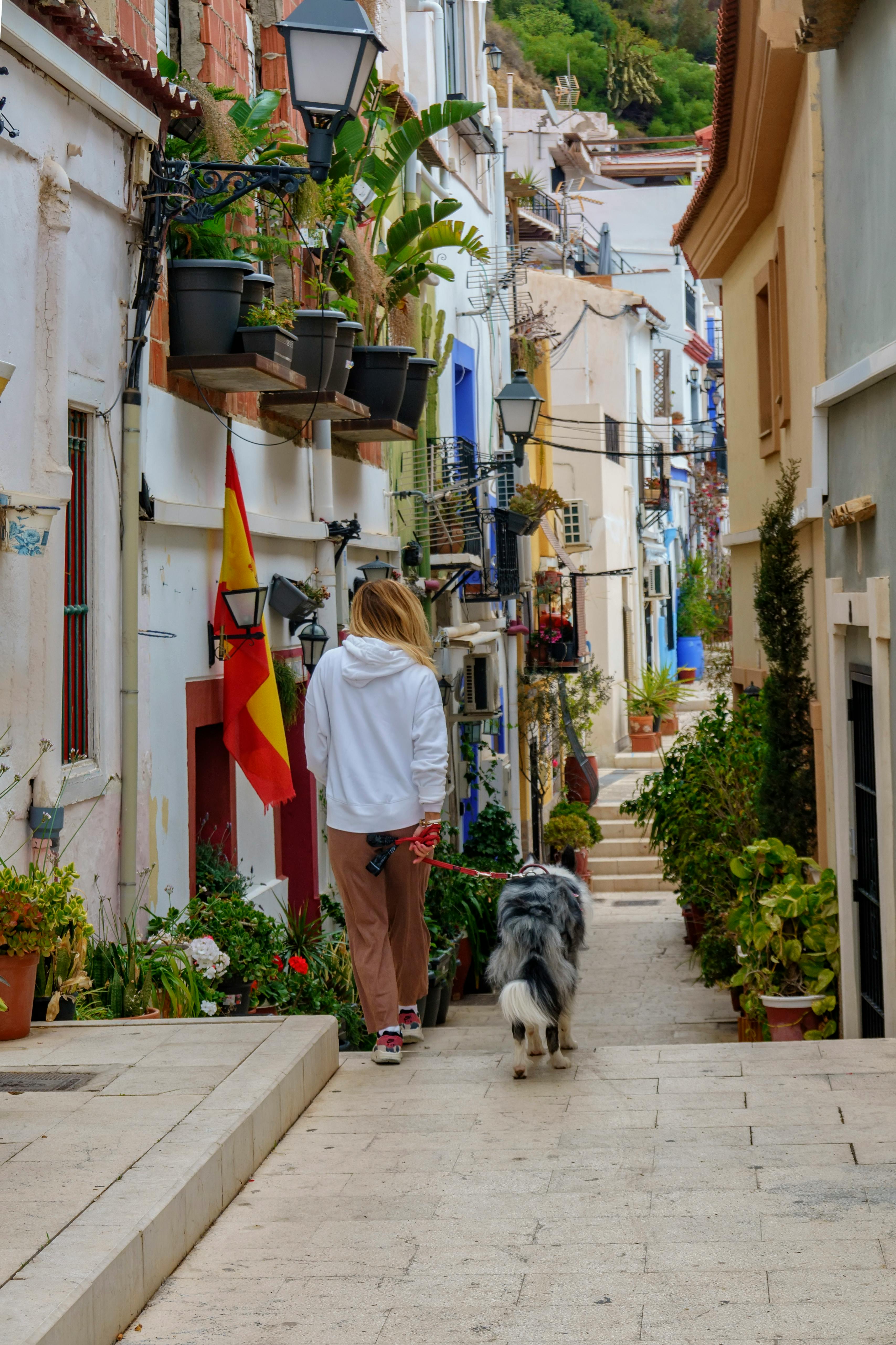 Paseando al perro. · Free Stock Photo