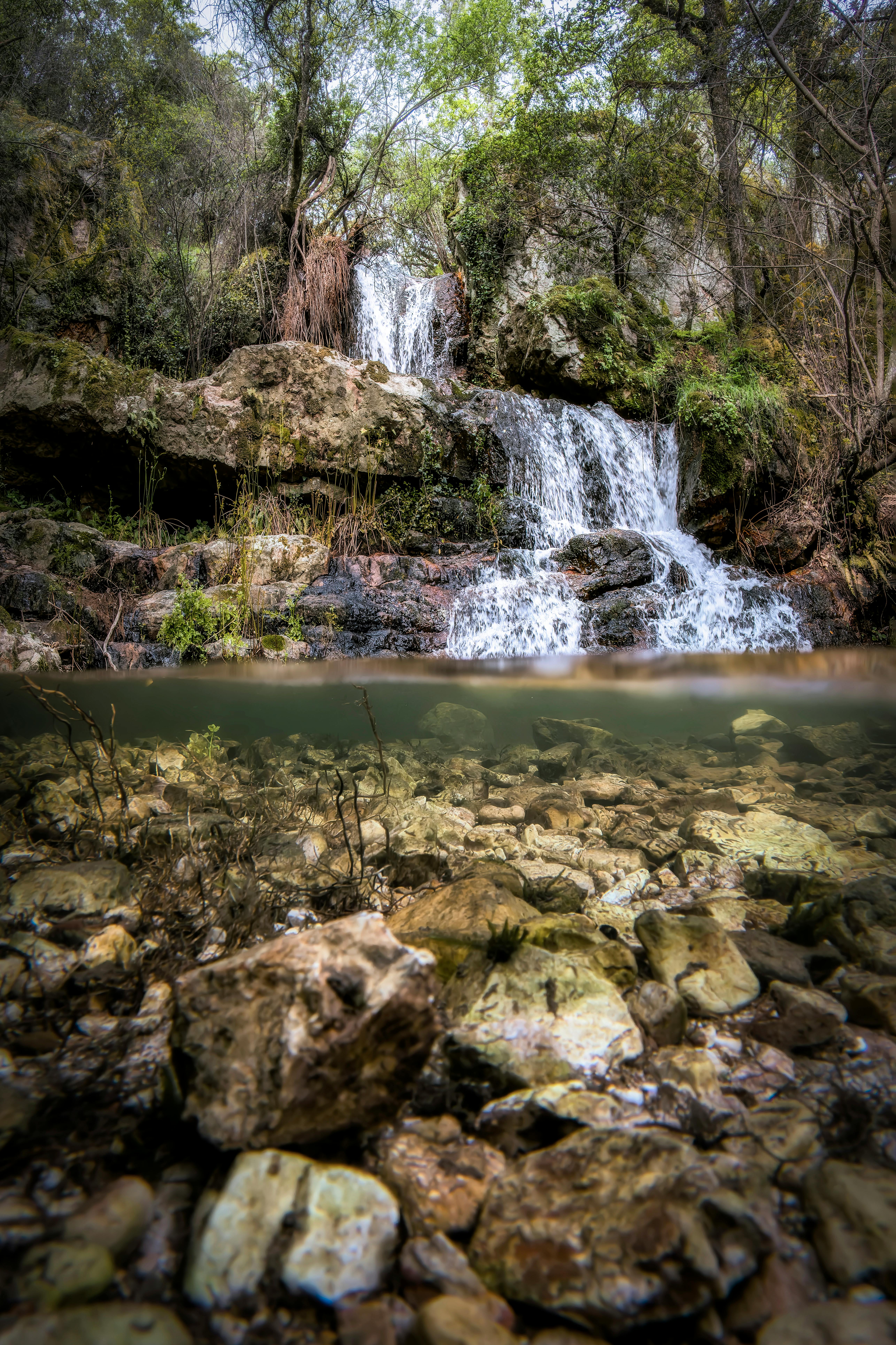 Cascade Falling into River in Forest · Free Stock Photo