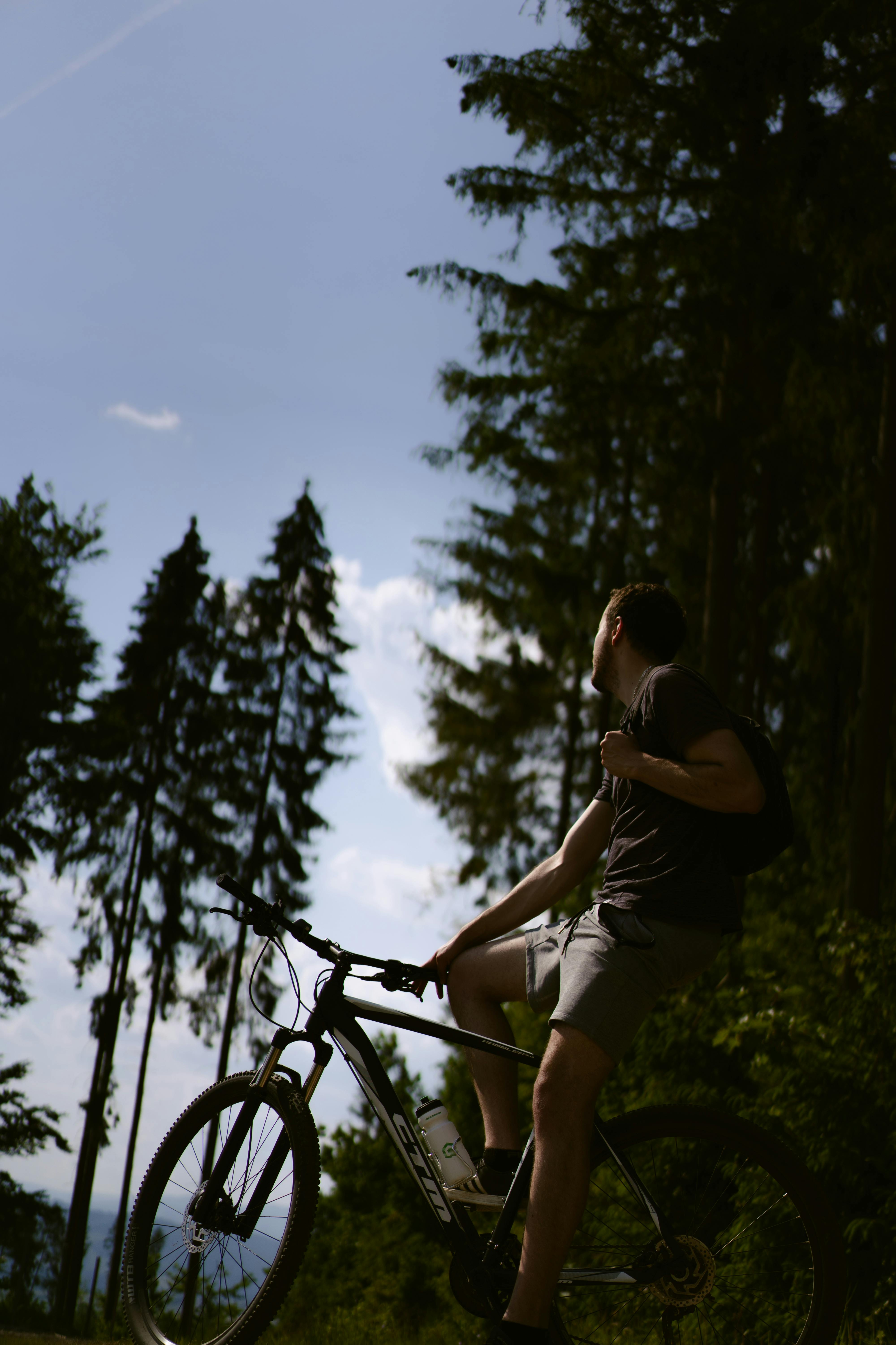 Man on Bicycle in Forest · Free Stock Photo