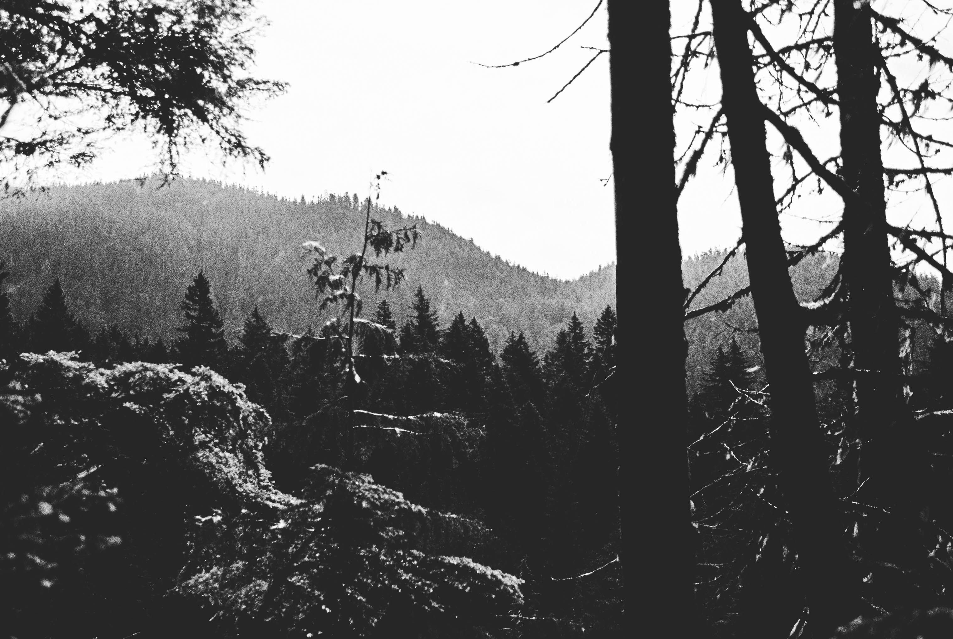 Pnw Photos, Download The BEST Free Pnw Stock Photos & HD Images