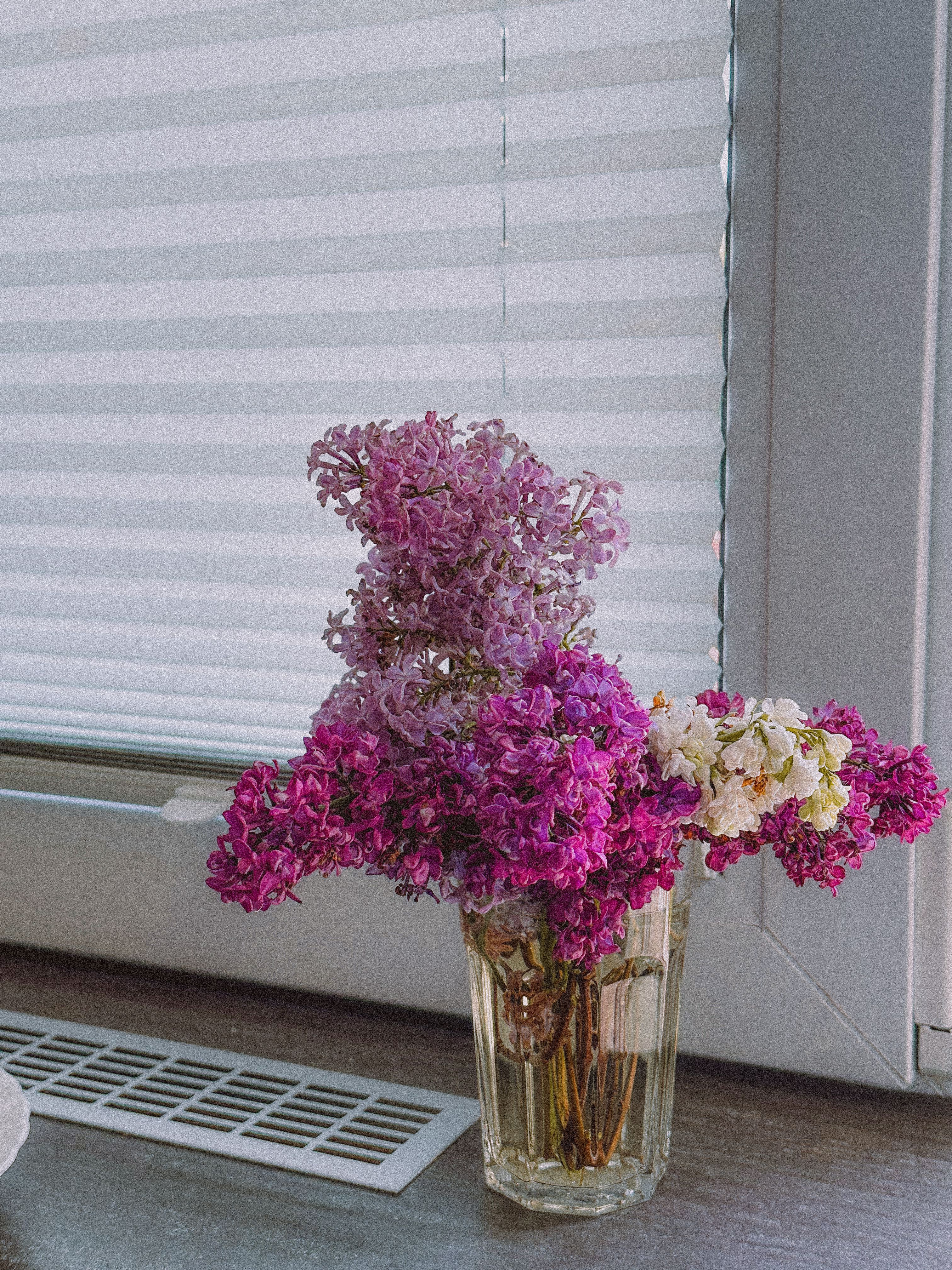Vase of Purple Flowers by the Window · Free Stock Photo